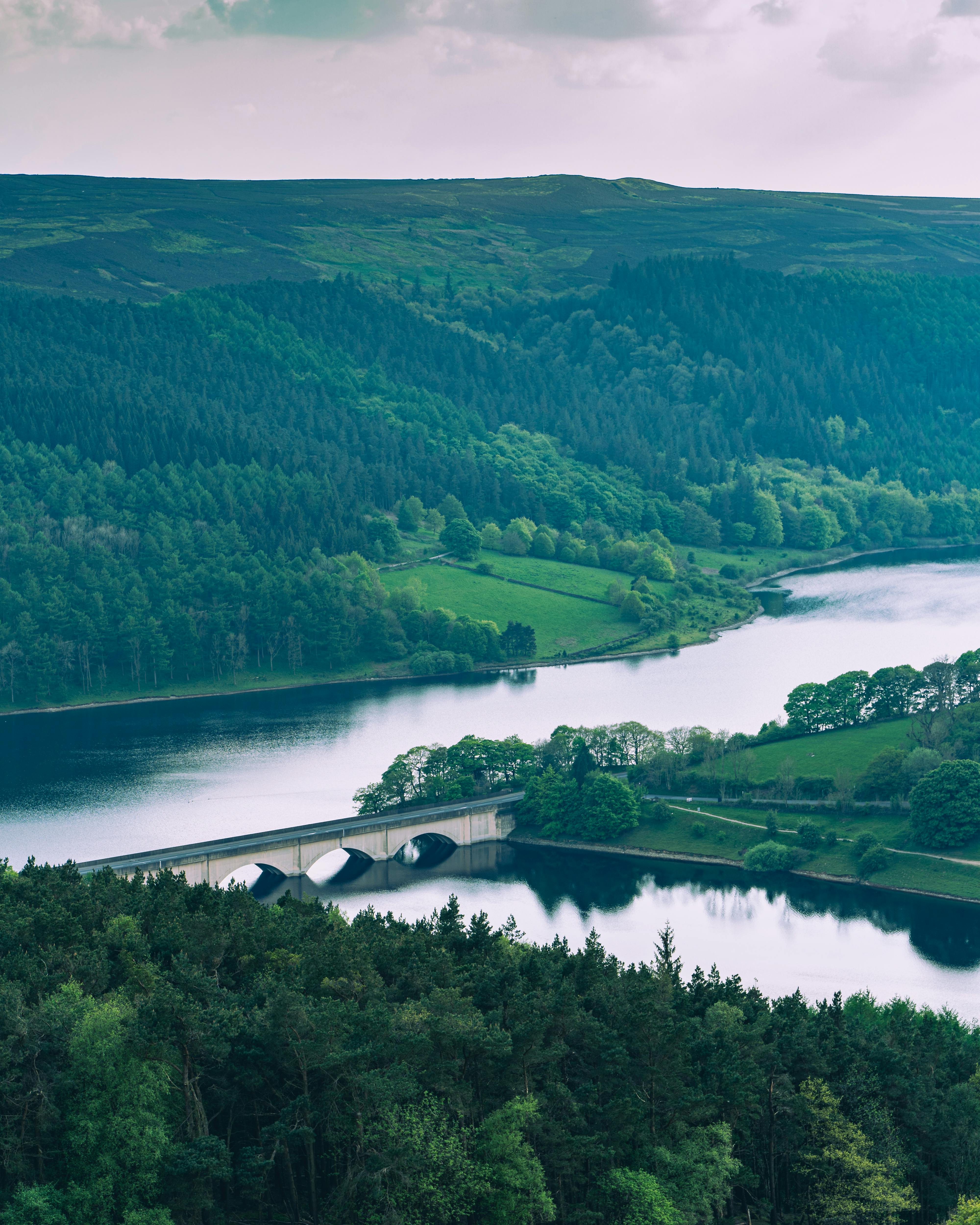 River Splitting between Hills with Forests · Free Stock Photo