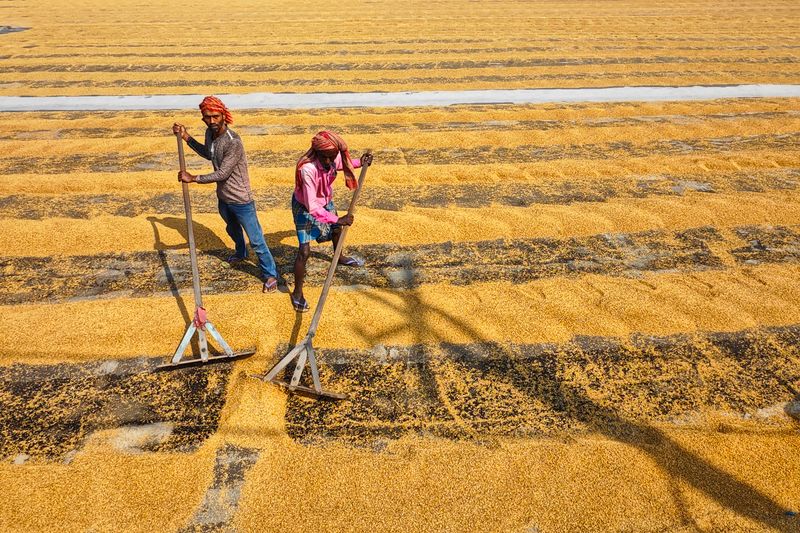 People Working In Field Photos, Download The BEST Free People Working ...