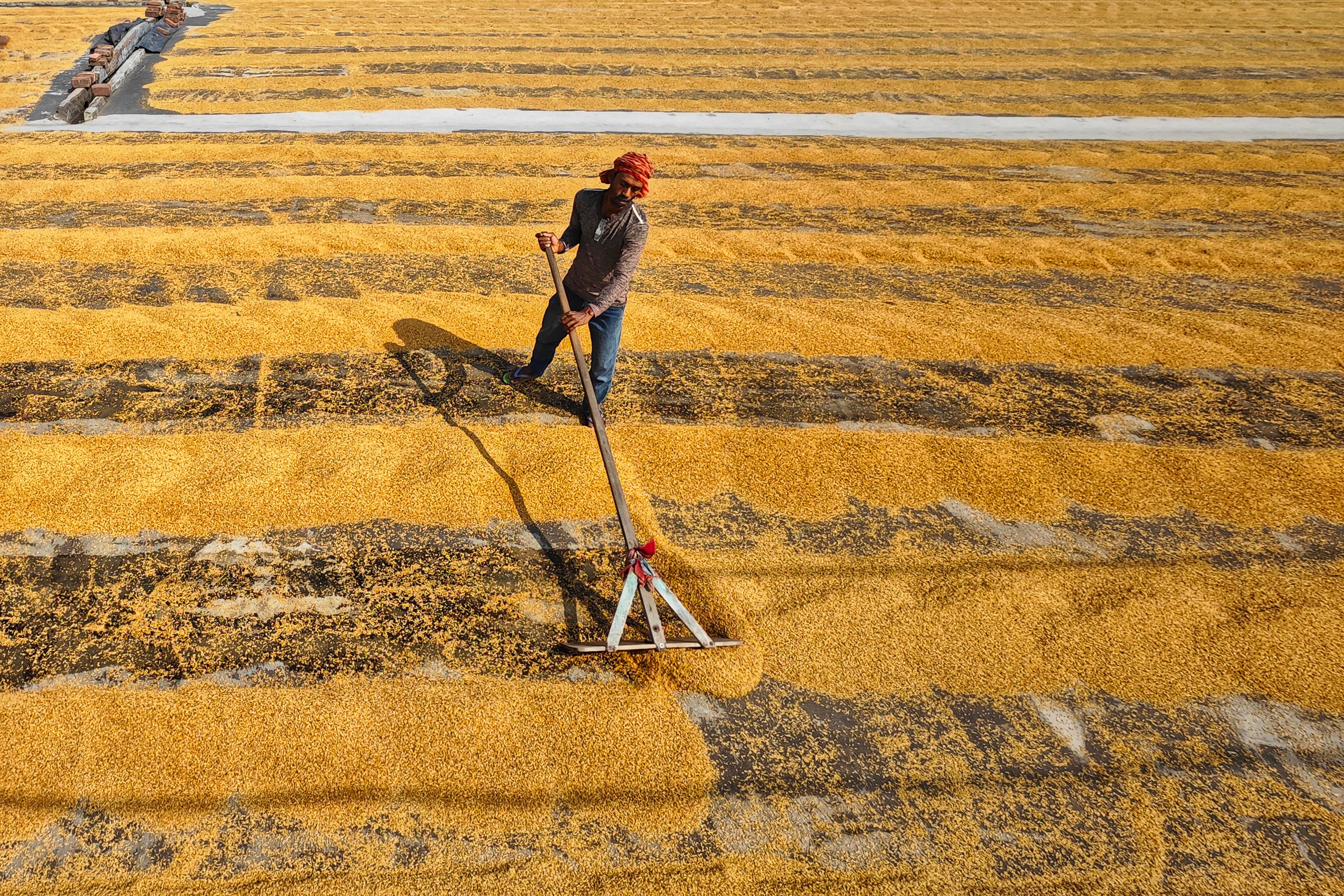 Farmer Working on Rural Field · Free Stock Photo