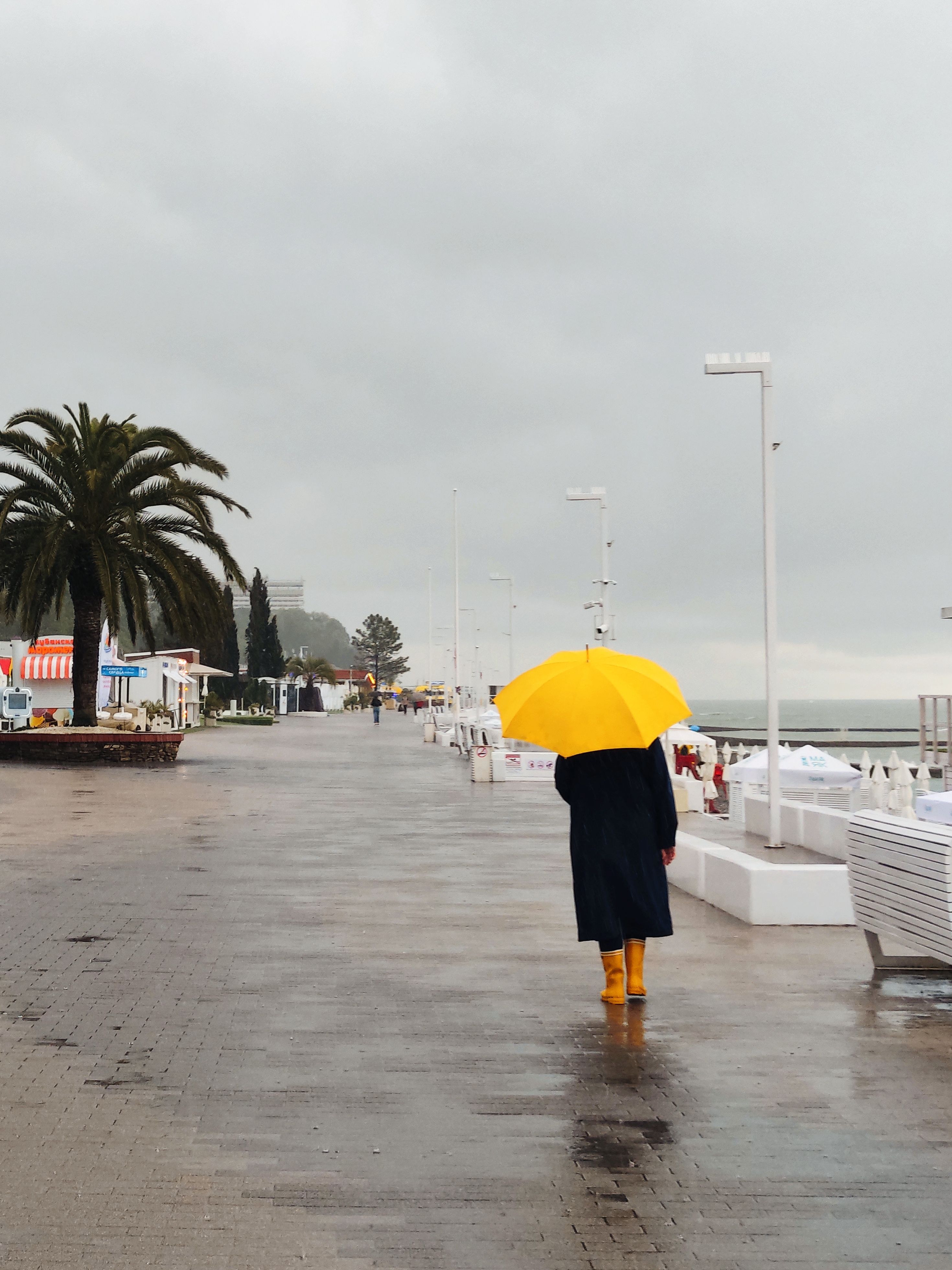 People Walking While Raining in Urban Setting · Free Stock Photo
