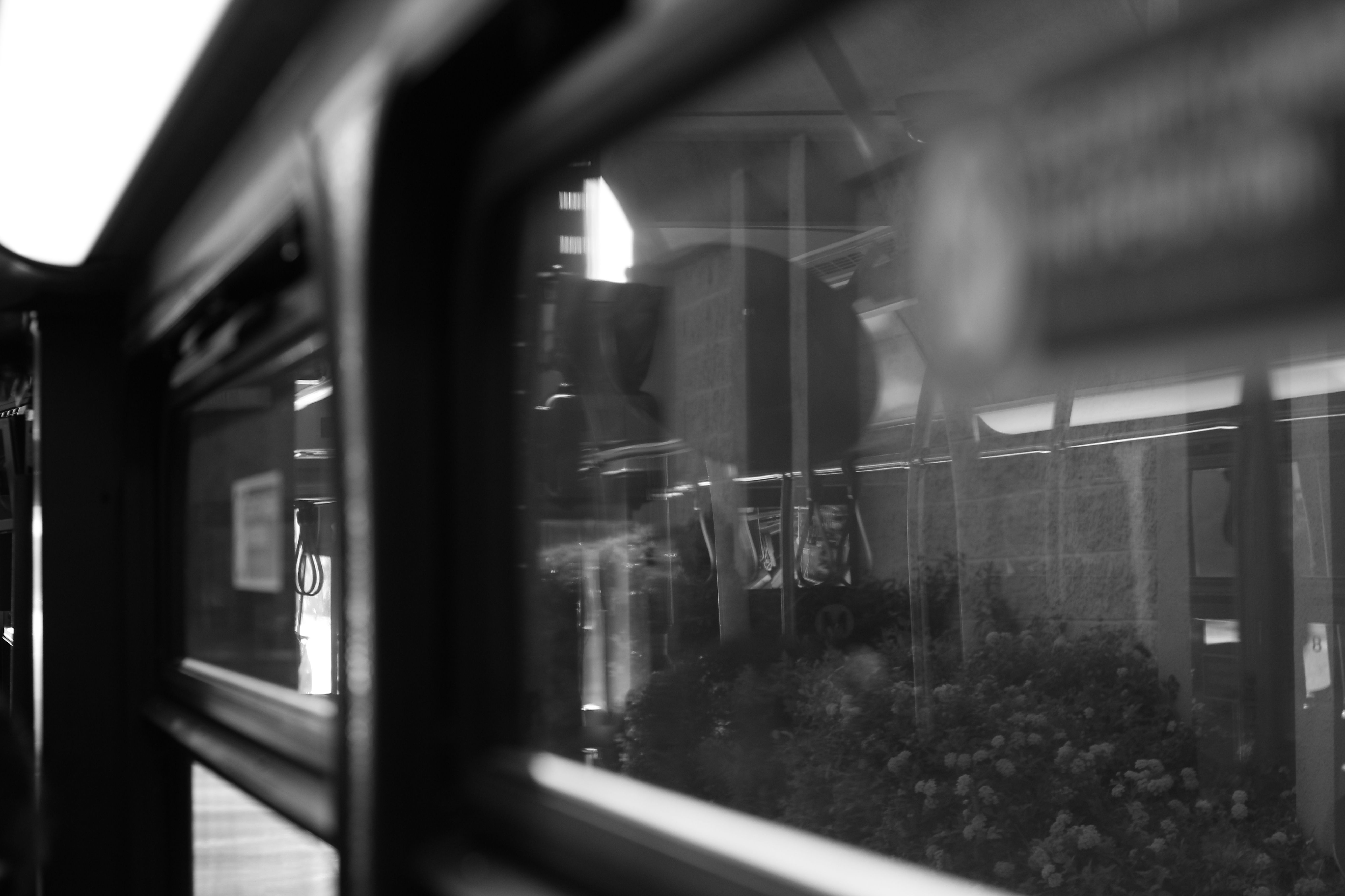 John Seldon - Fotografía