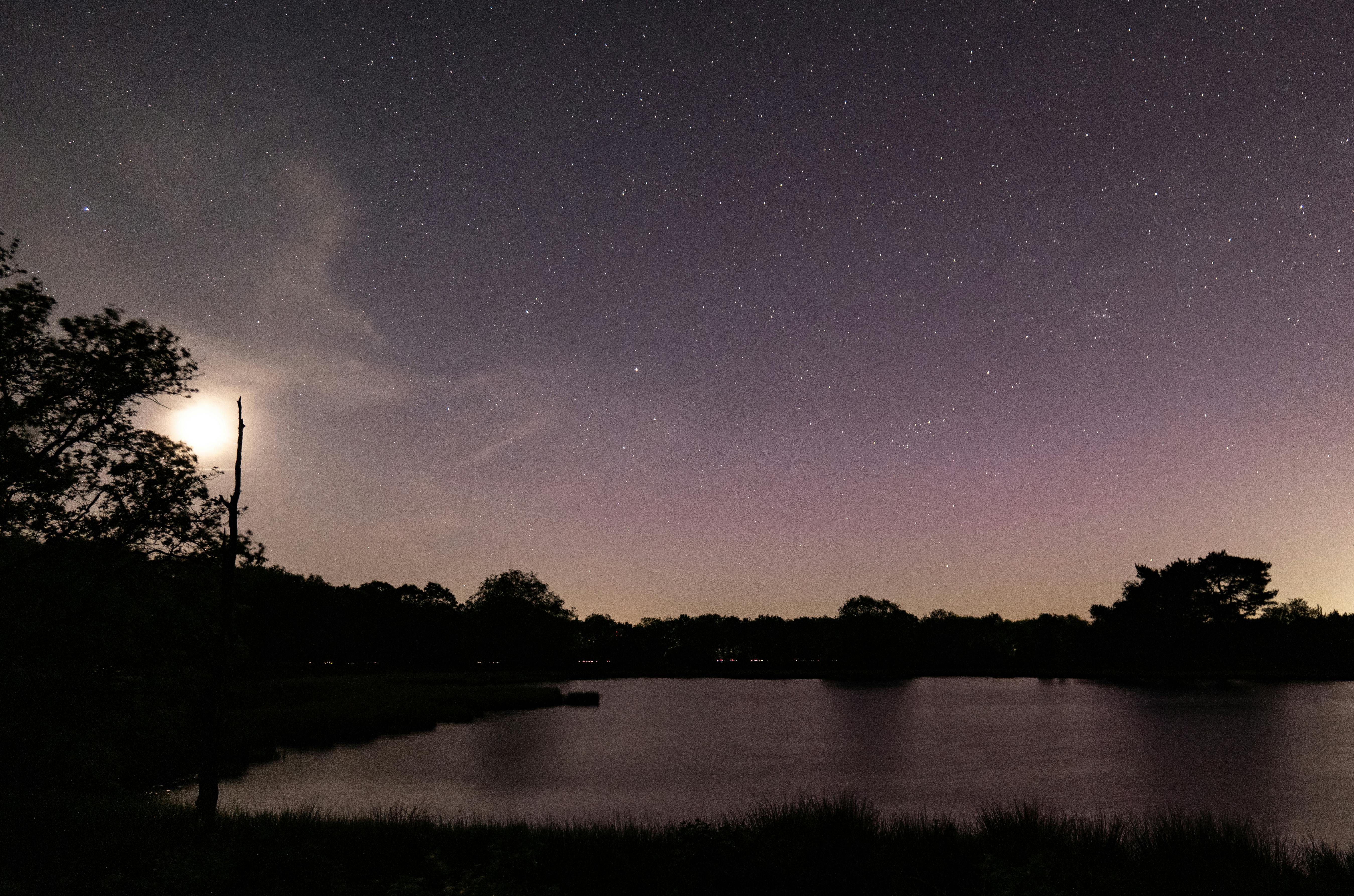 Stars over Lake and Forest at Night · Free Stock Photo