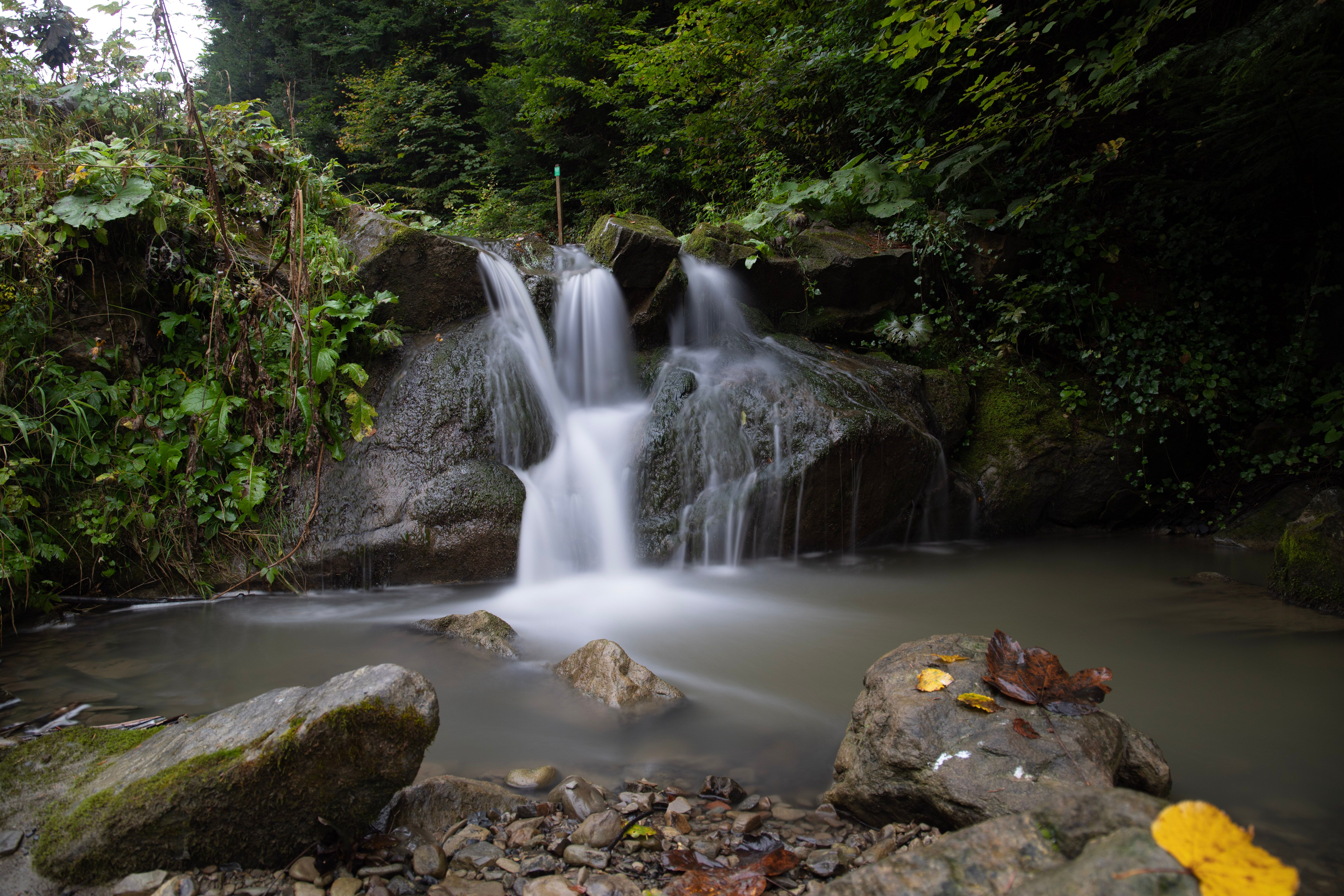 Waterfall in a Forest · Free Stock Photo