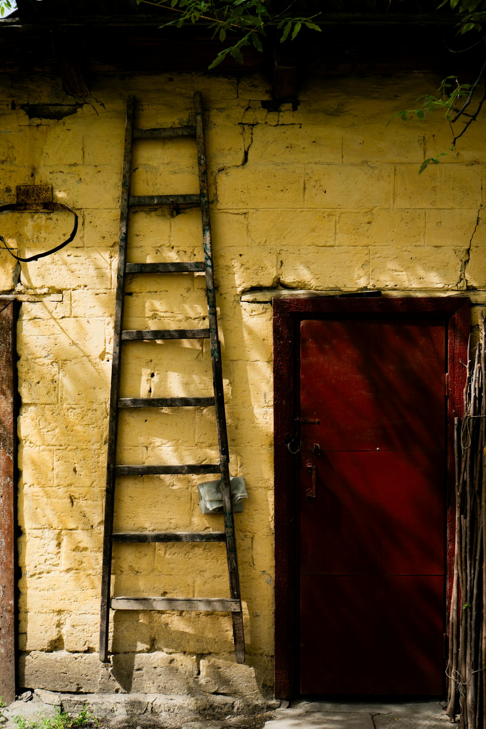 Career Ladder Photos, Download The BEST Free Career Ladder Stock Photos ...