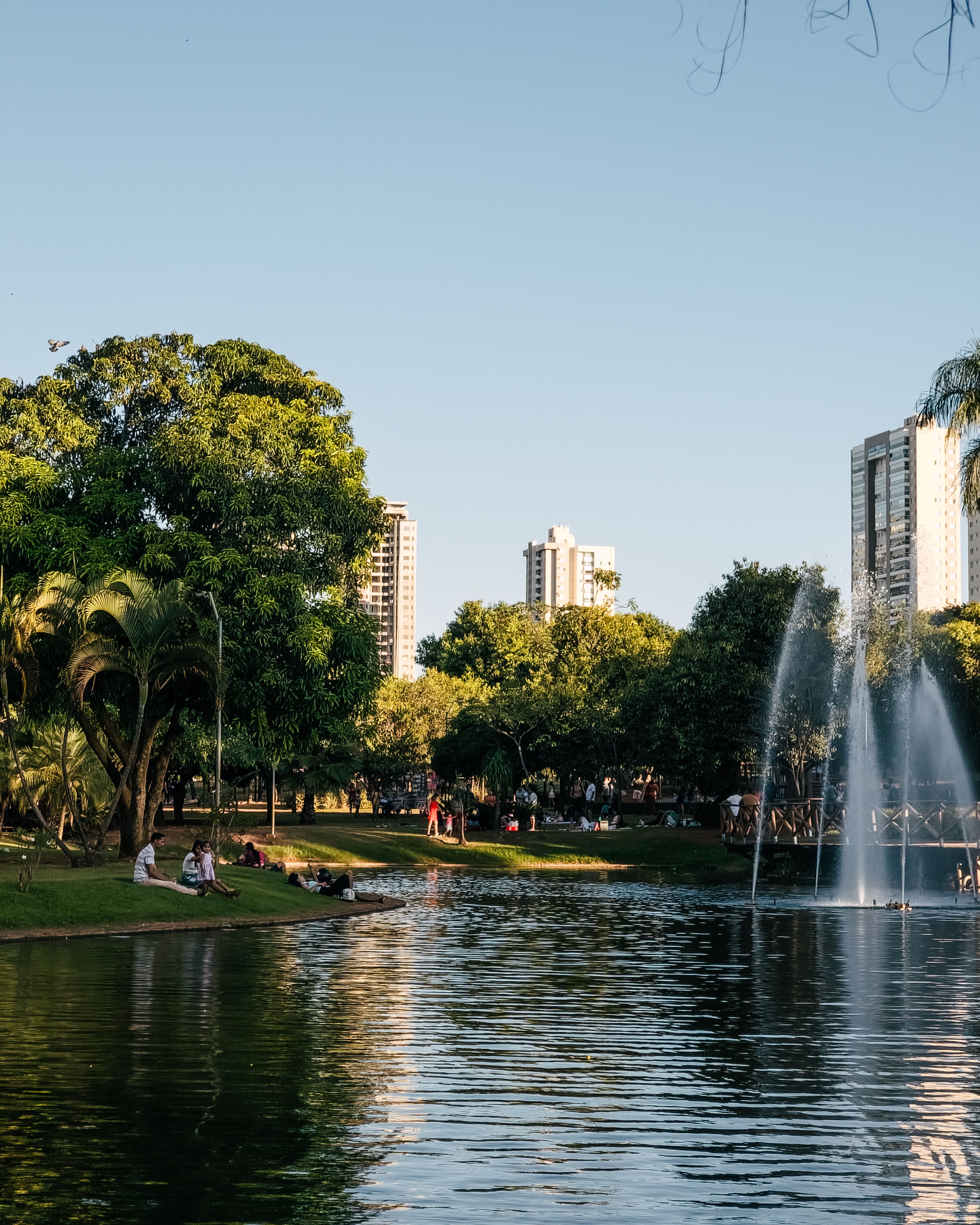 entardecer parque Ipiranga · Free Stock Photo