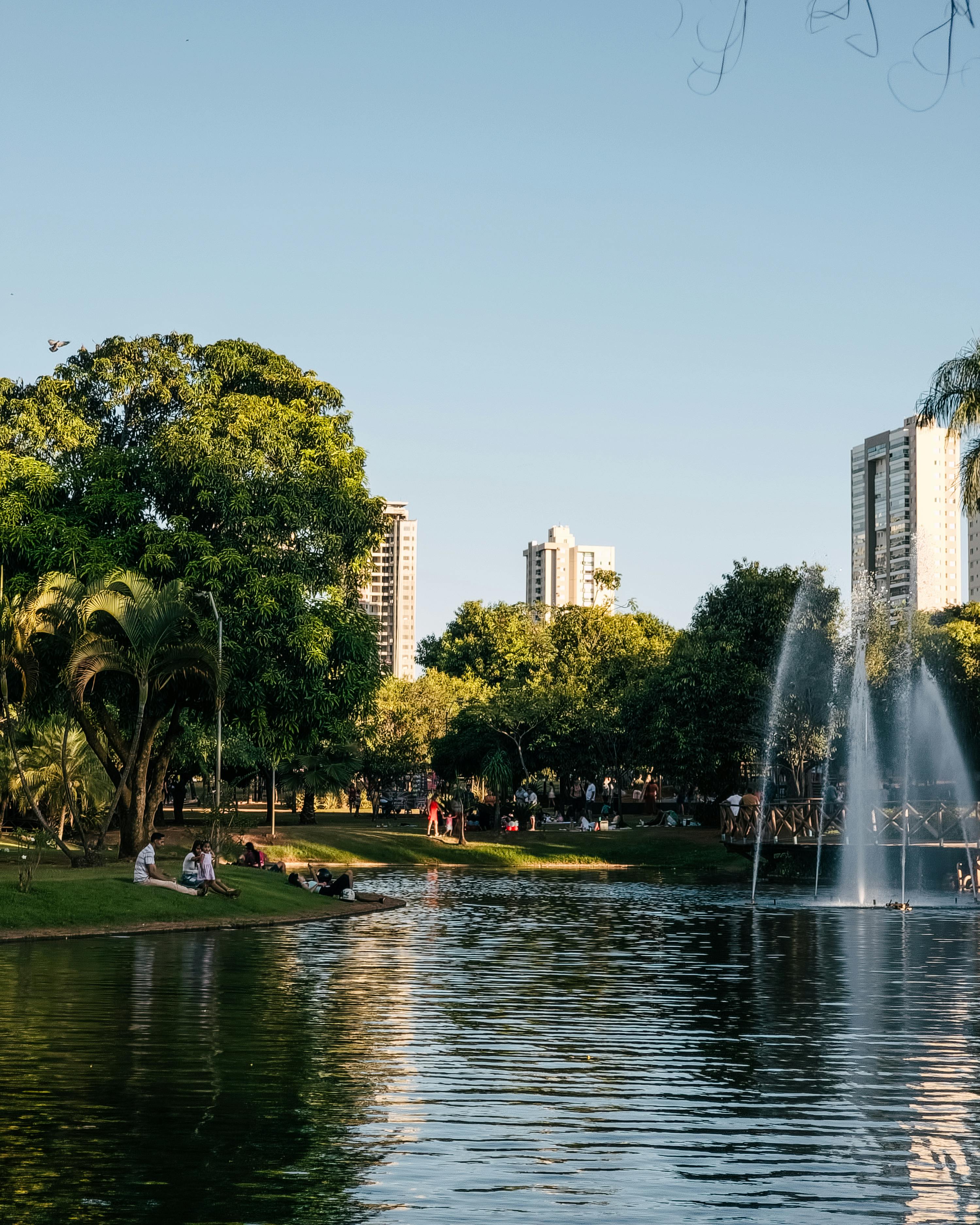 Park Vaca Brava in Goiania · Free Stock Photo