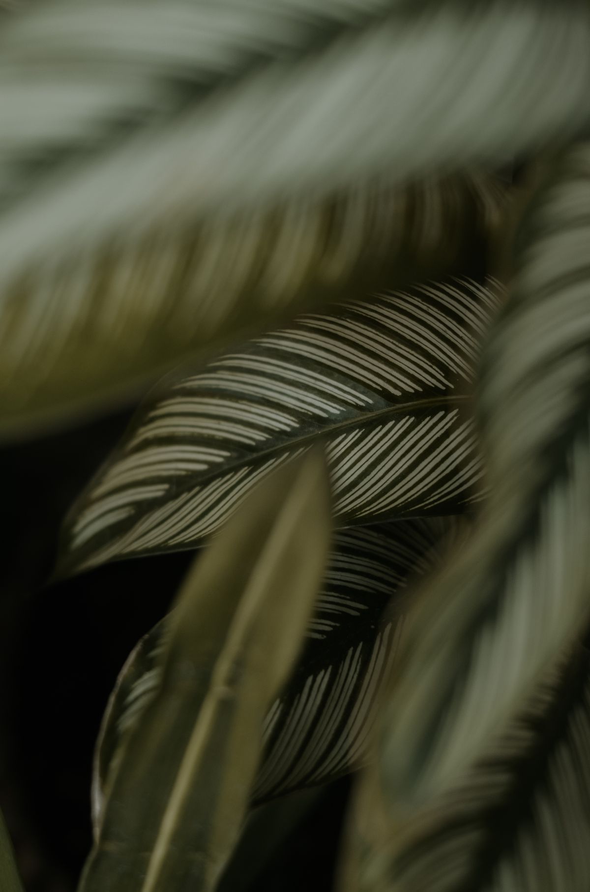 Edit