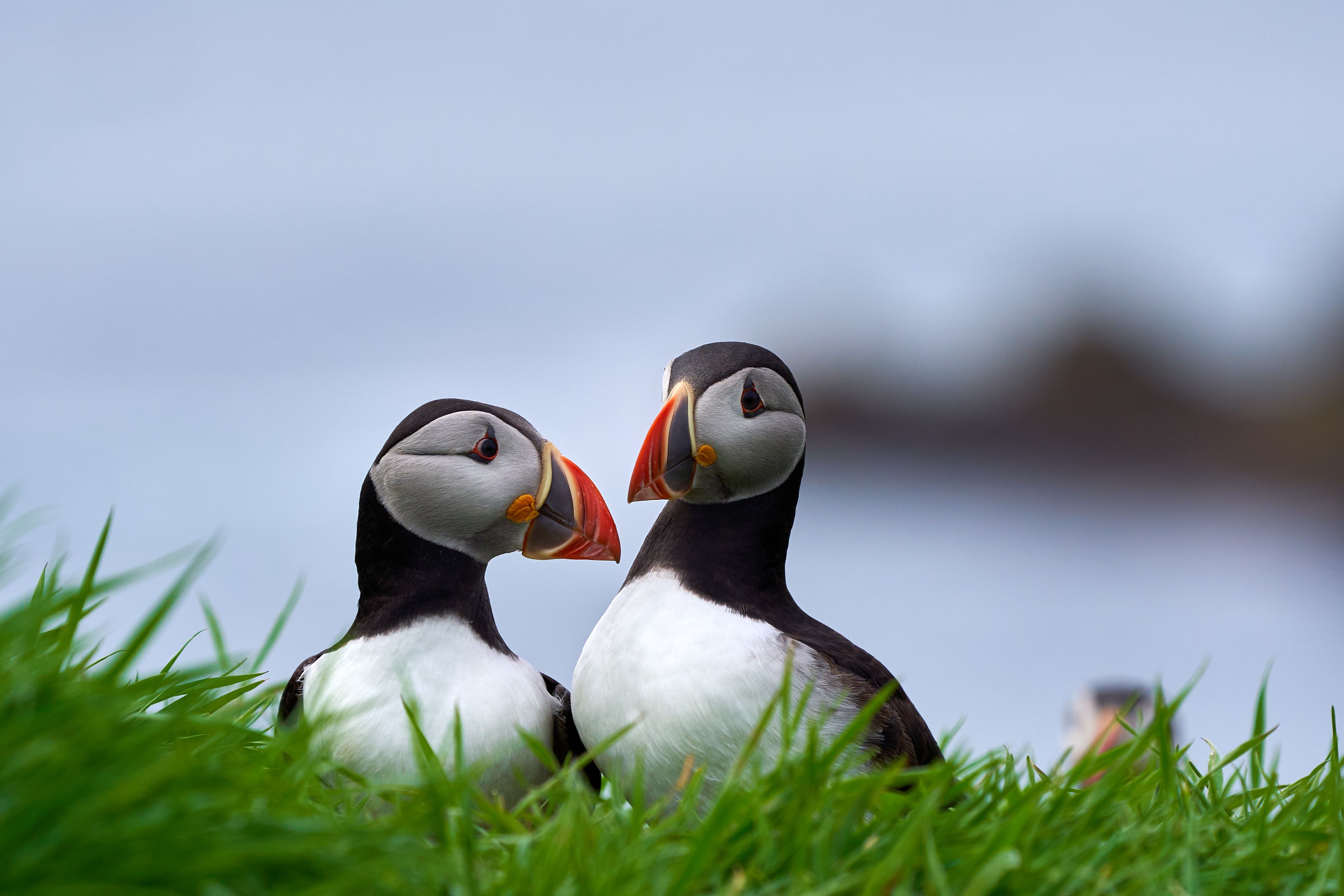Great British Countryside Photos, Download The BEST Free Great British ...
