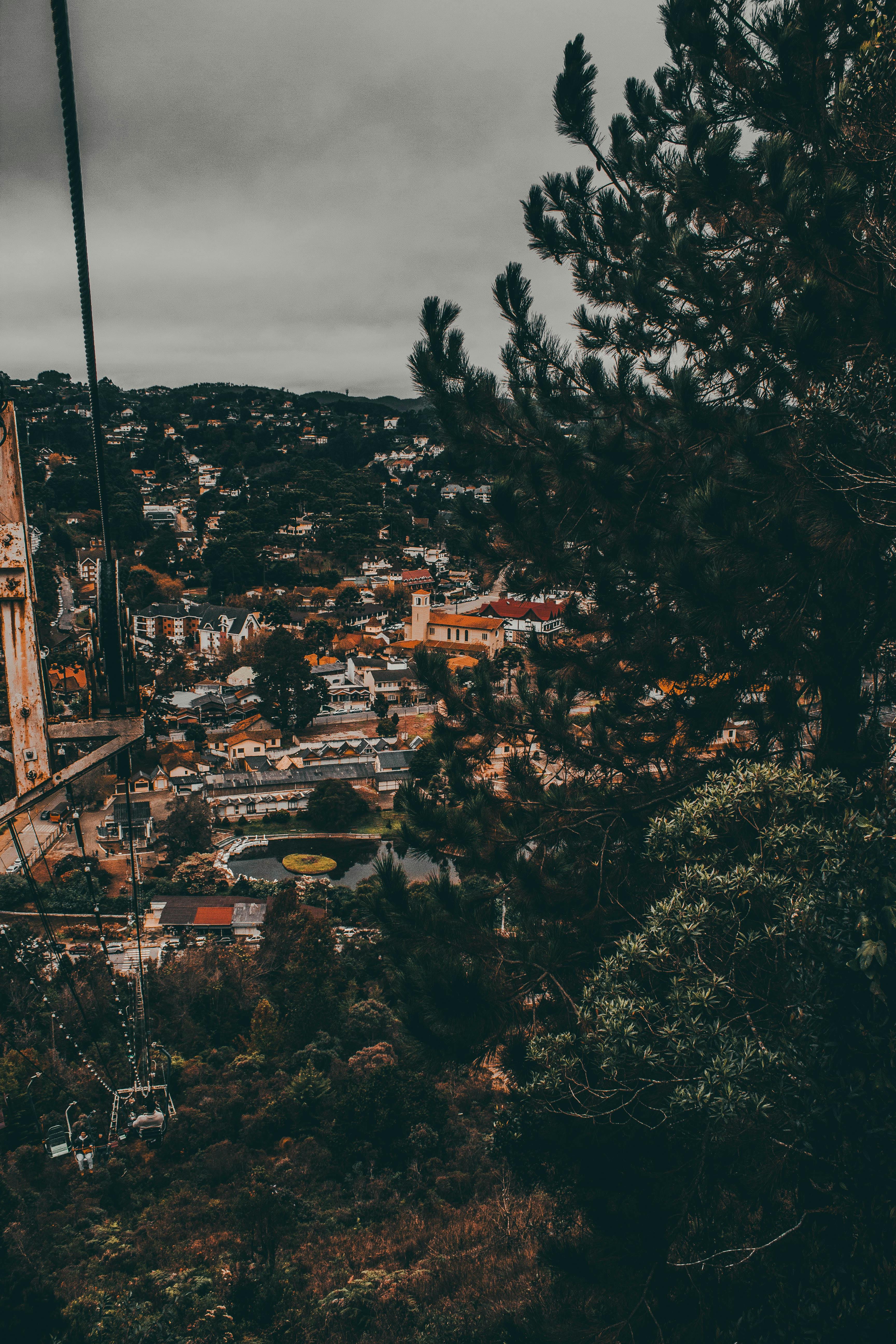 White Zip Line Bus Above on Green Leaved Trees · Free Stock Photo