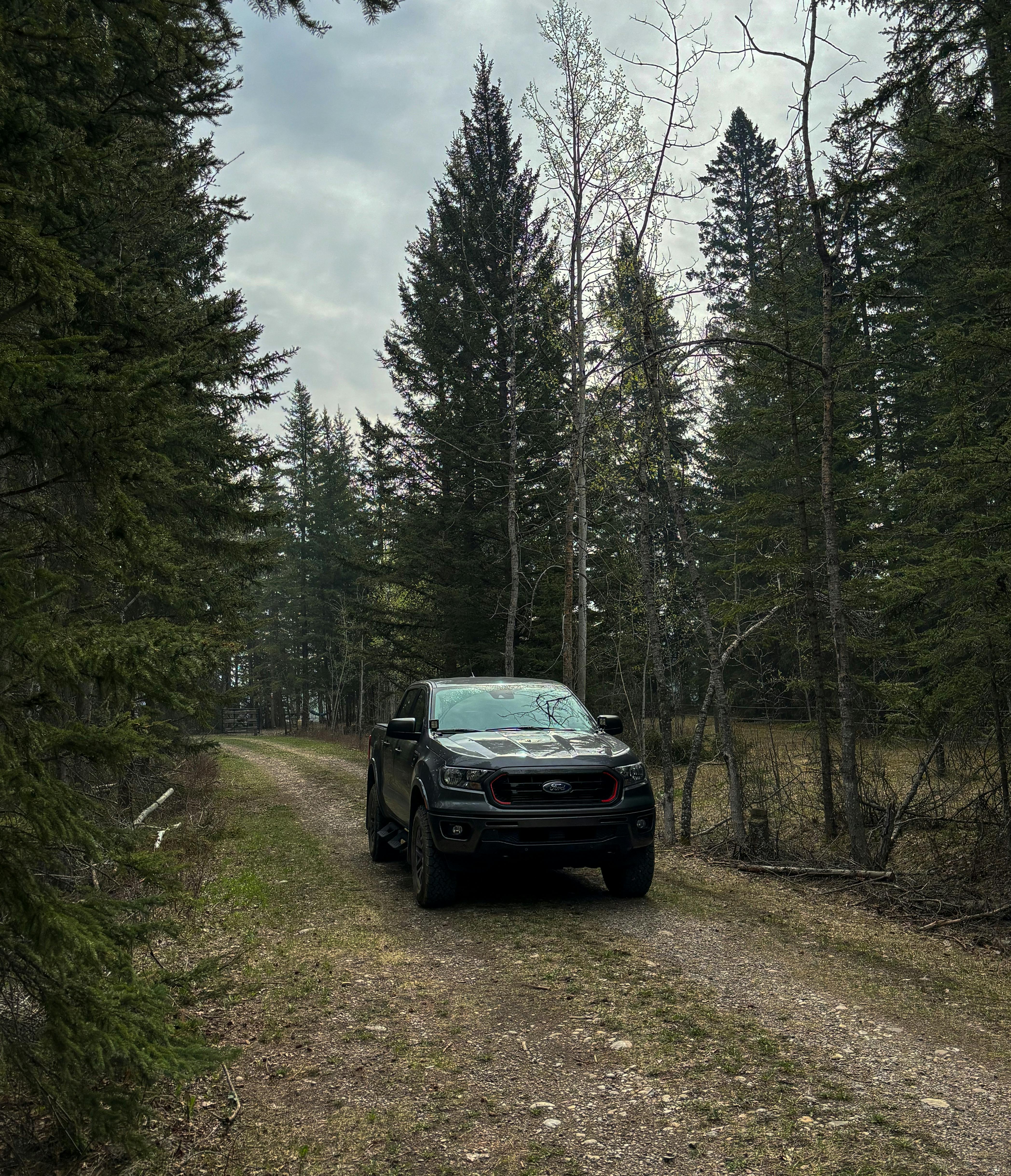 Ford Ranger on Dirt Road in Forest · Free Stock Photo