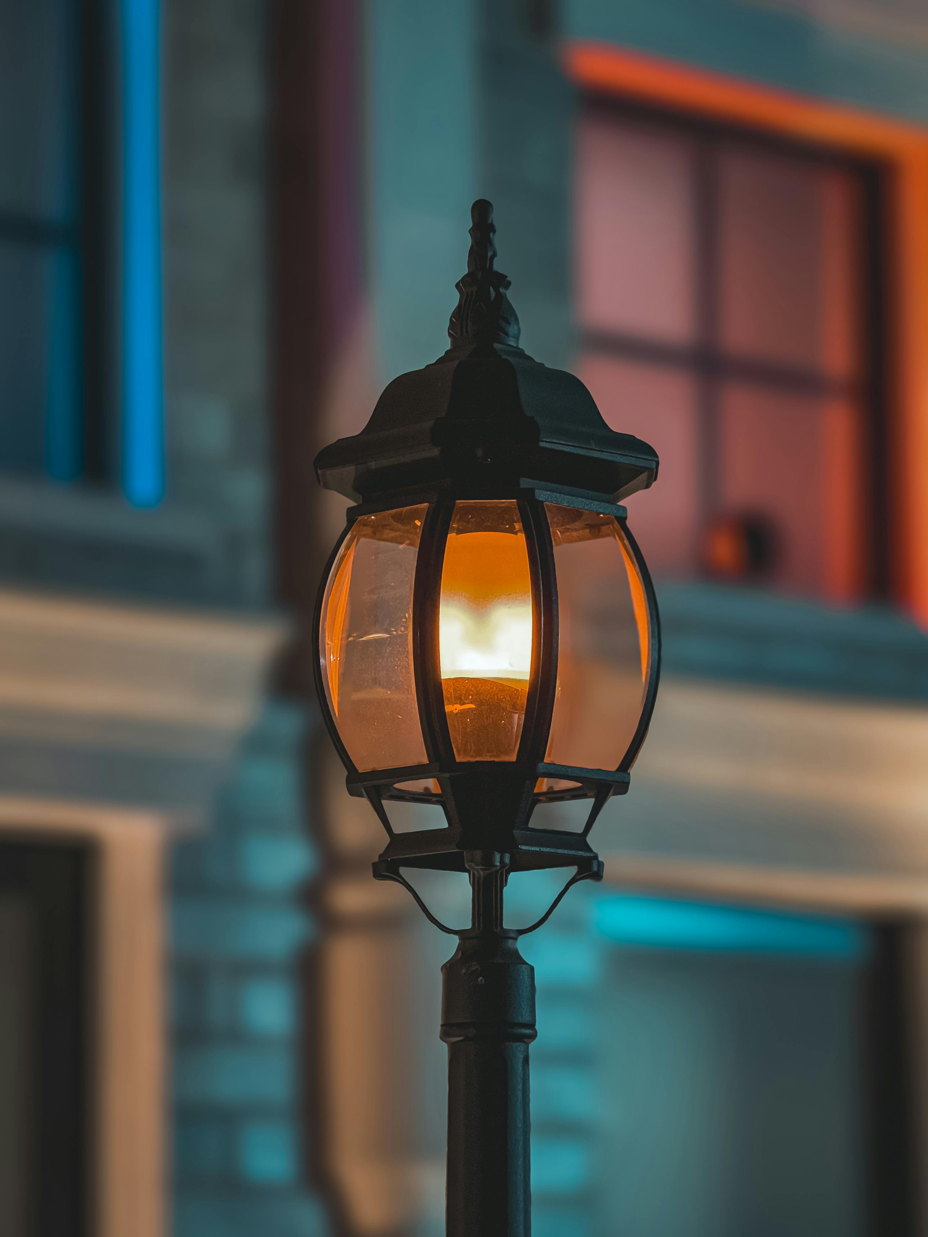 Mold Pictures Photos, Download The BEST Free Mold Pictures Stock Photos ...