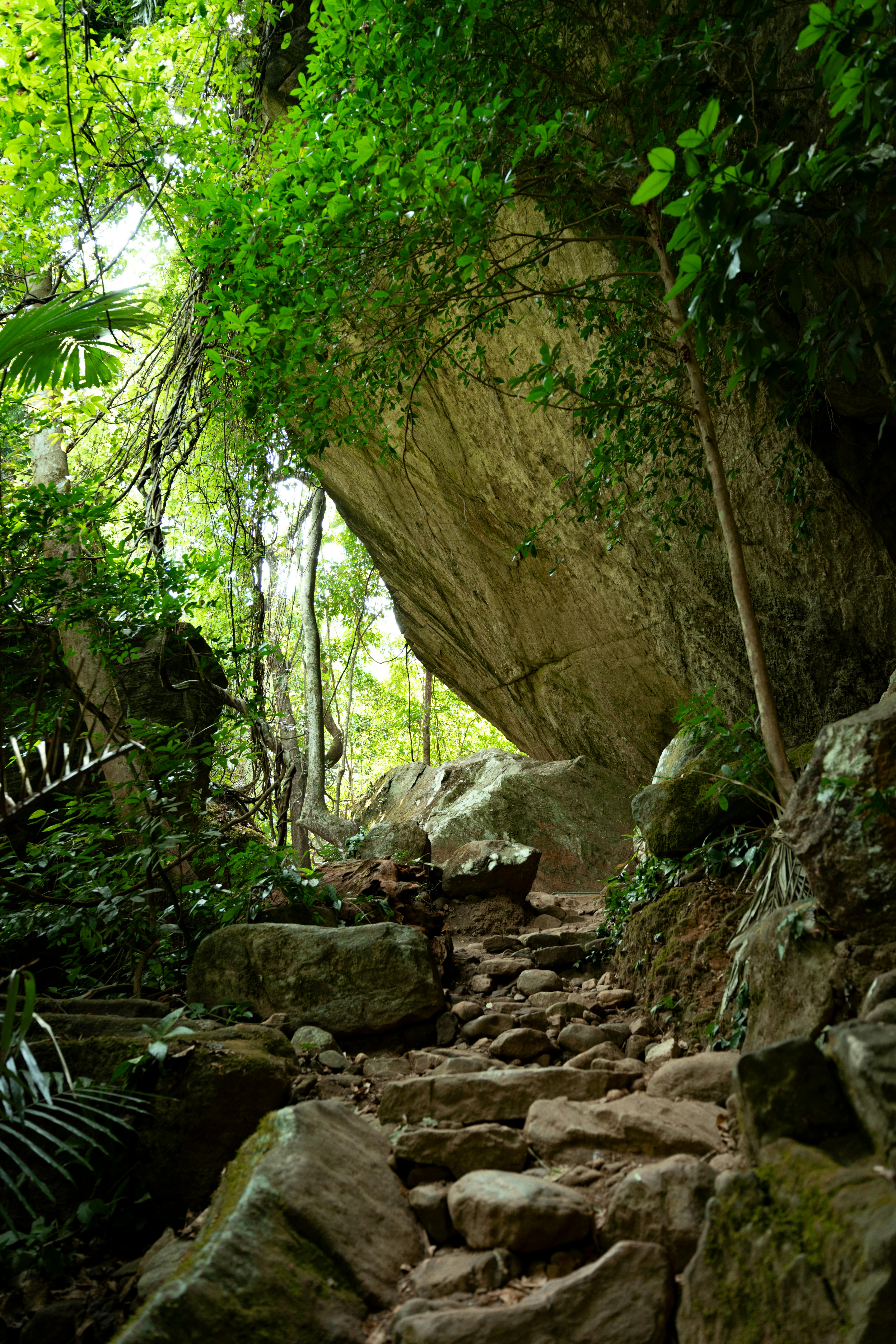 Rocky Path Under an Overhang in the Forest · Free Stock Photo