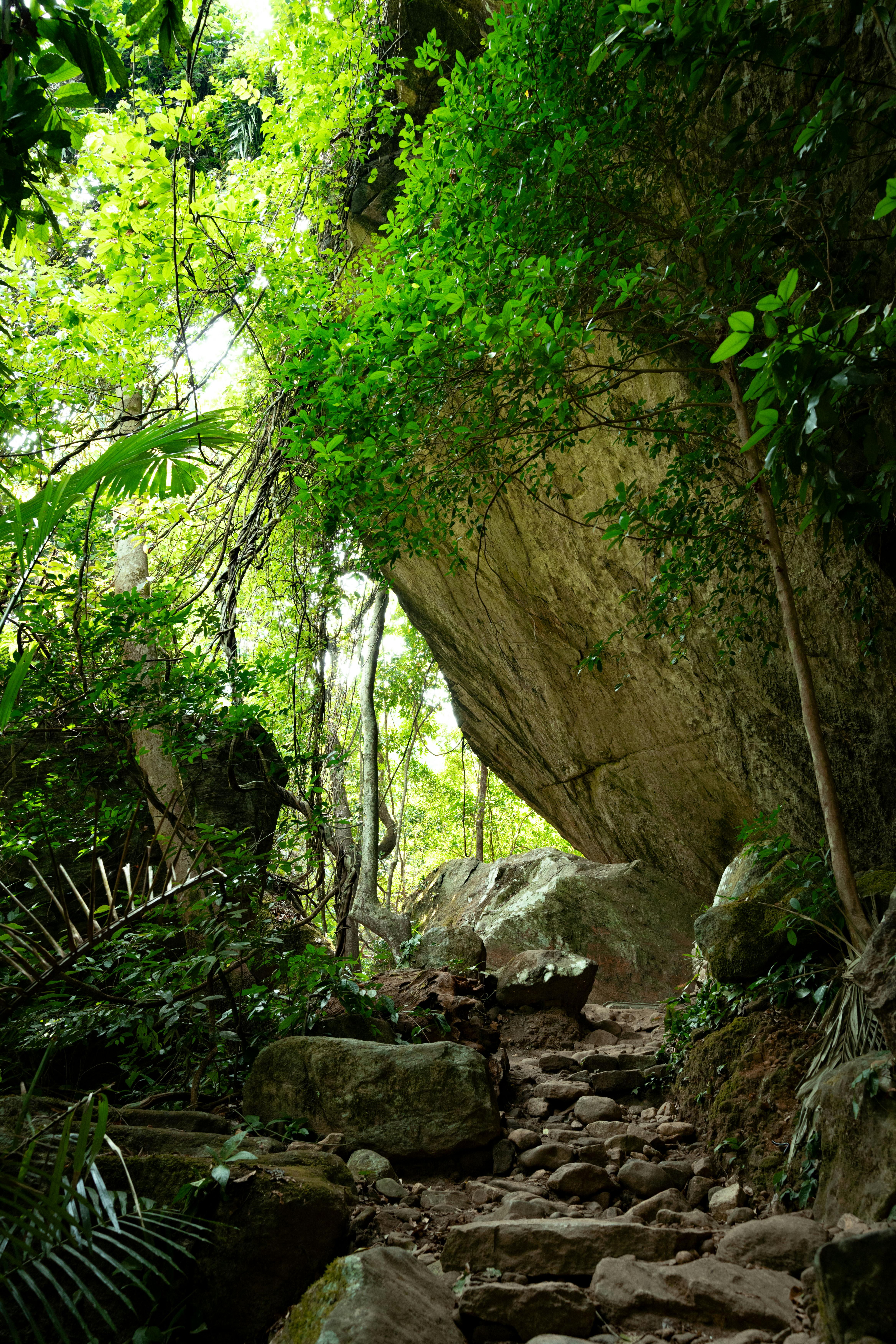 Overhang on a Rocky Path in the Forest · Free Stock Photo
