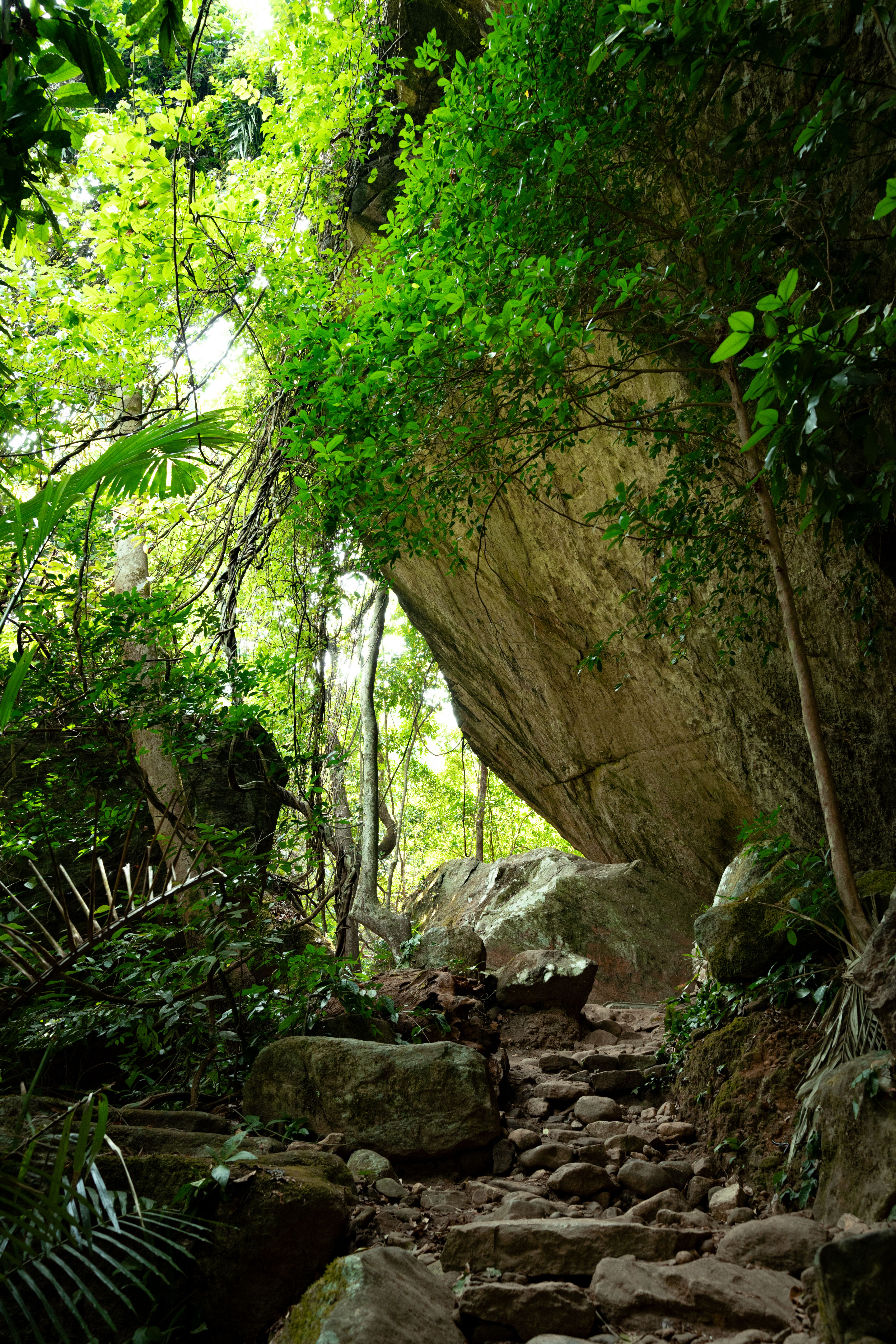 Overhang on a Rocky Path in the Forest · Free Stock Photo