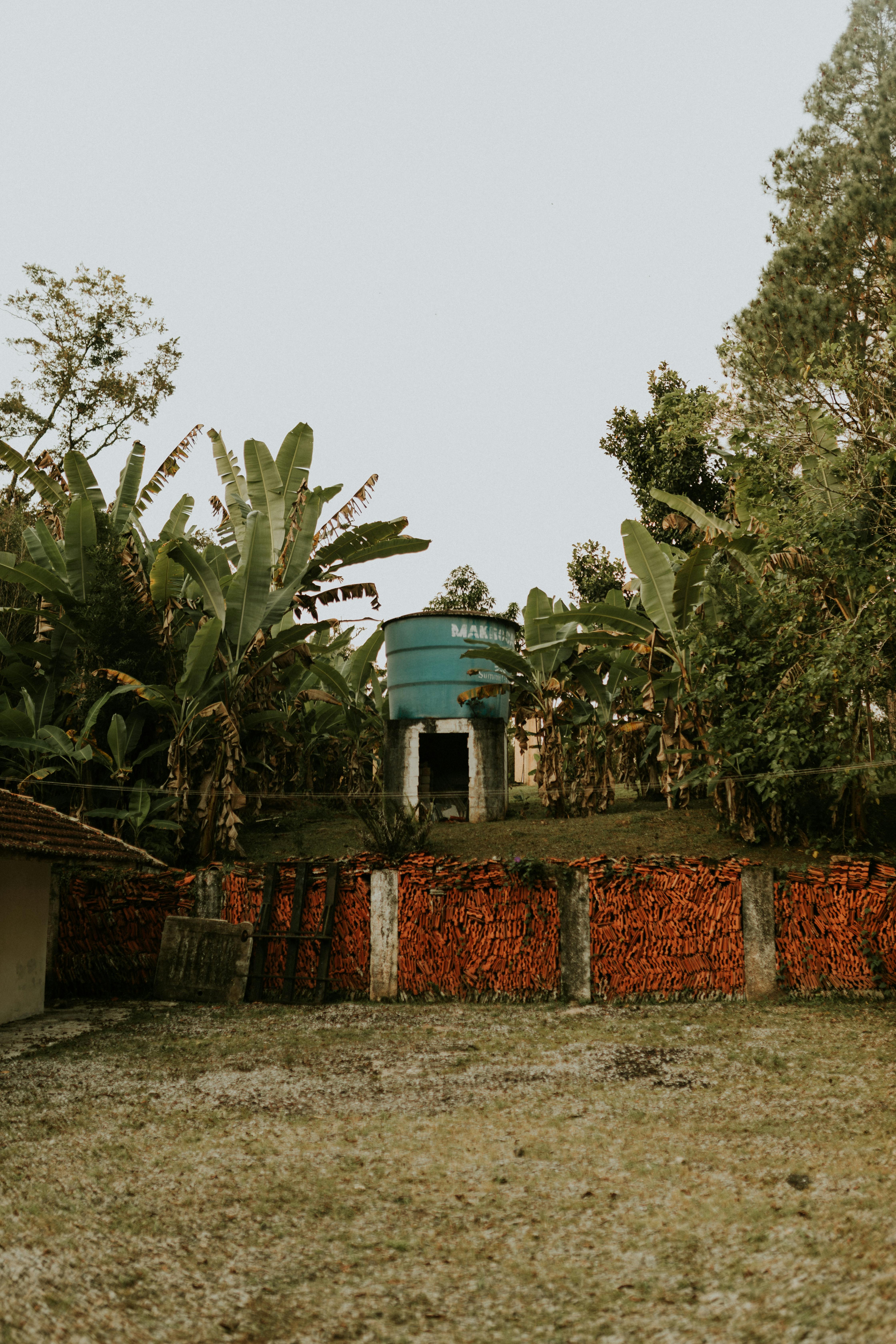 A small blue water tank in the middle of a jungle · Free Stock Photo