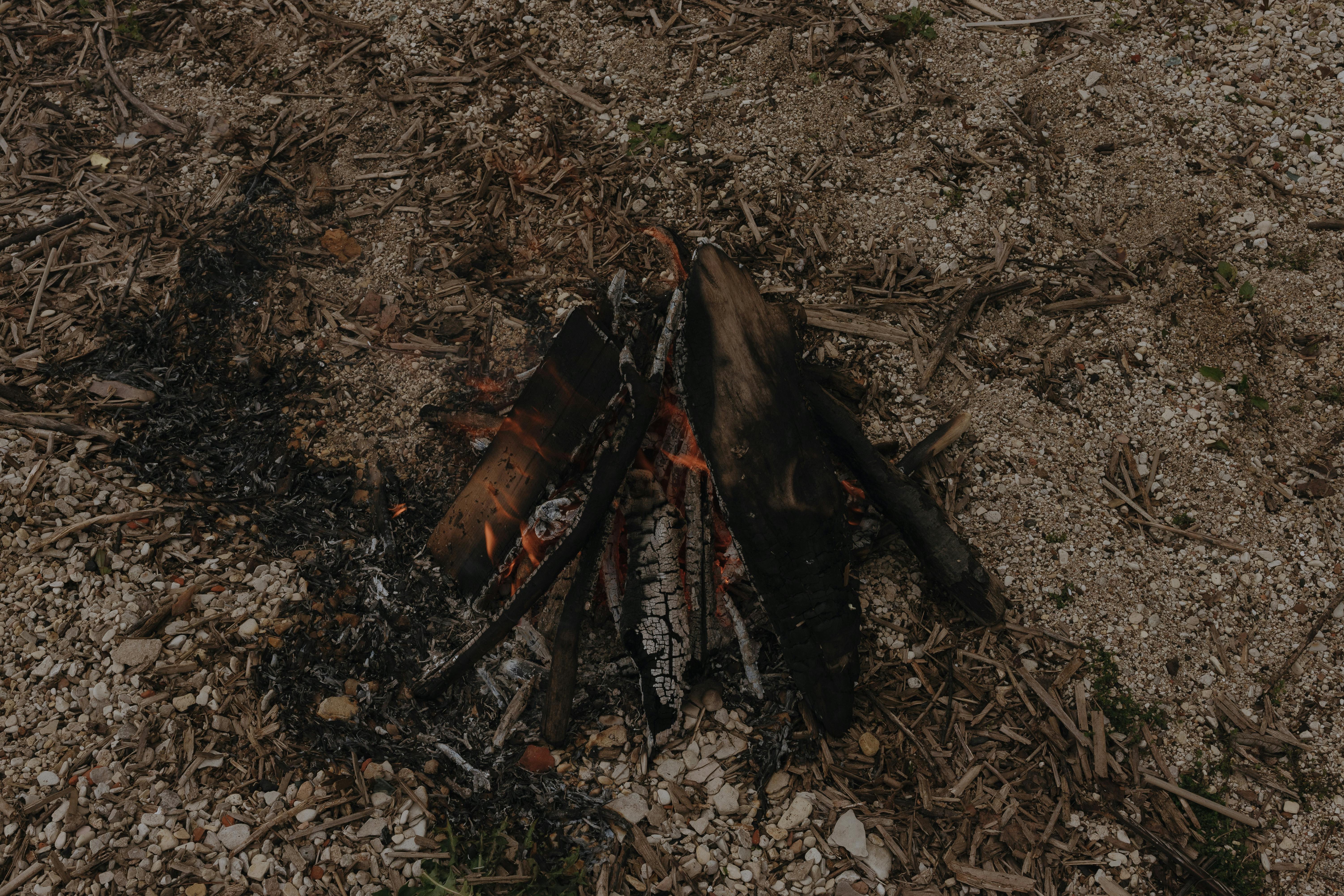 Burnt Bonfire on Ground · Free Stock Photo