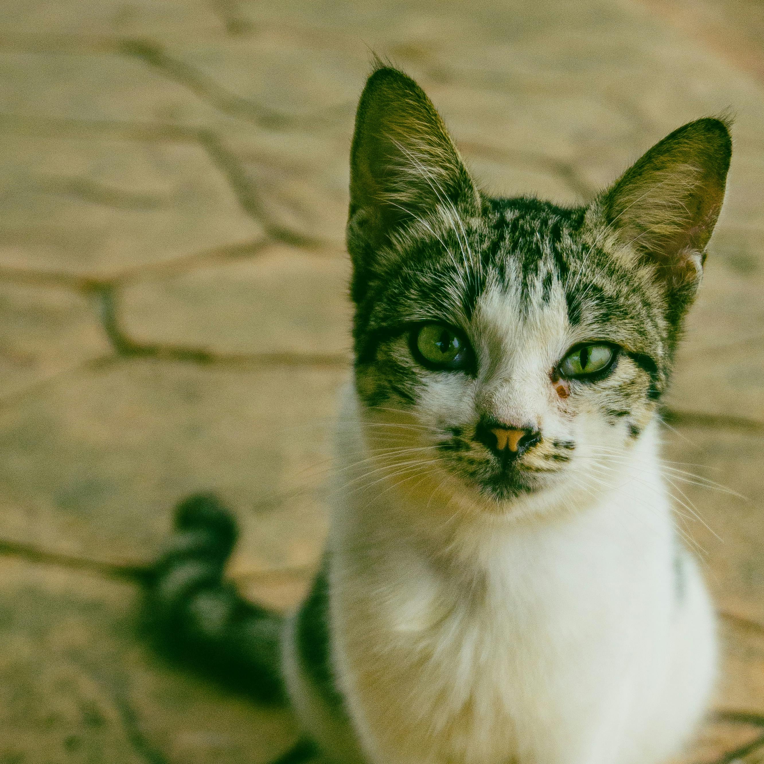 Cute Butt Photos, Download The BEST Free Cute Butt Stock Photos & HD Images