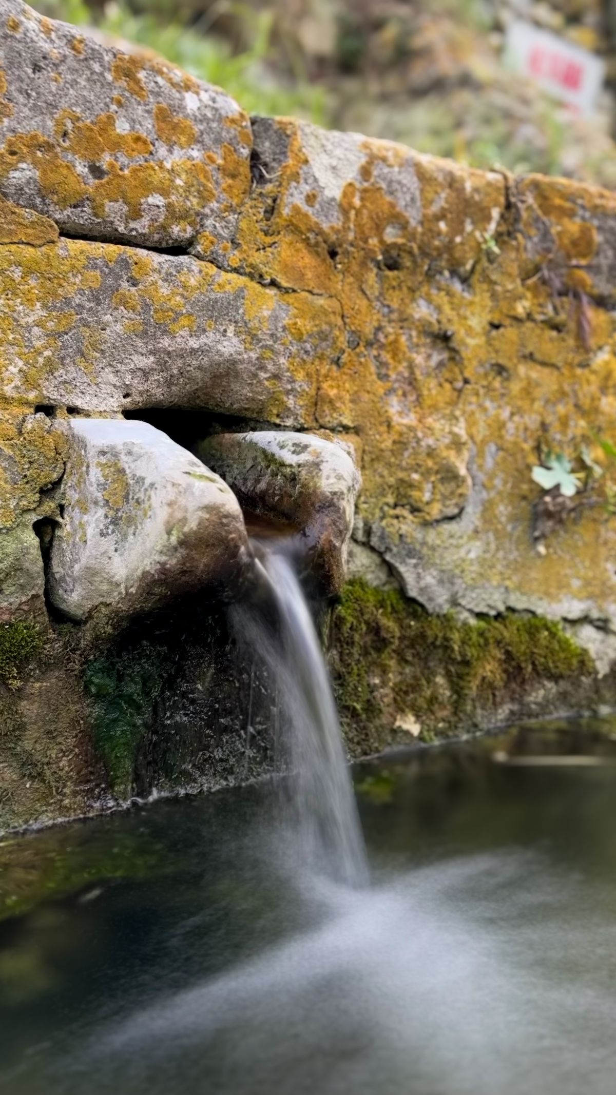 Spring Water Photos, Download The BEST Free Spring Water Stock Photos ...