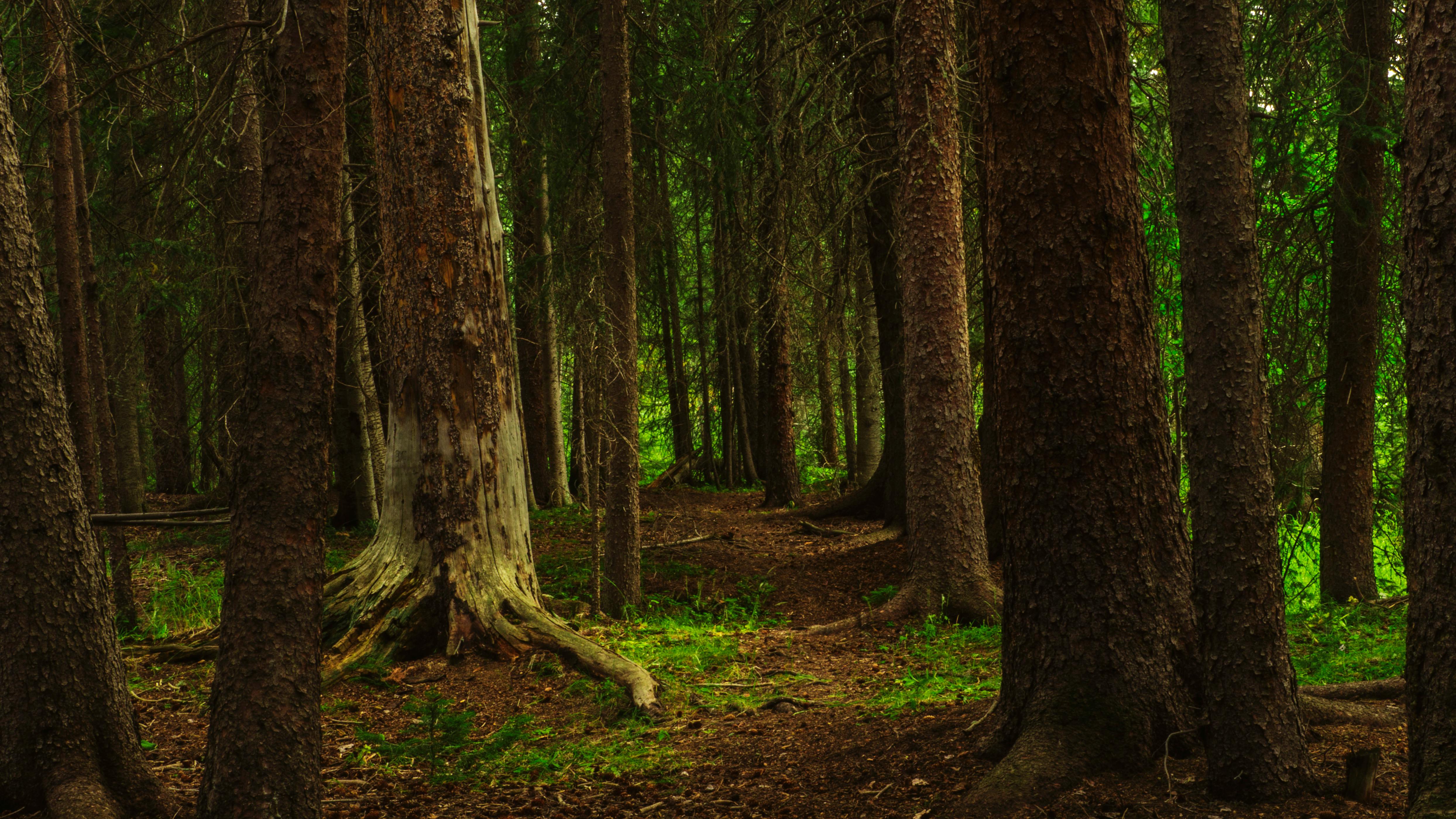 Brown Scenery Photos, Download The BEST Free Brown Scenery Stock Photos ...
