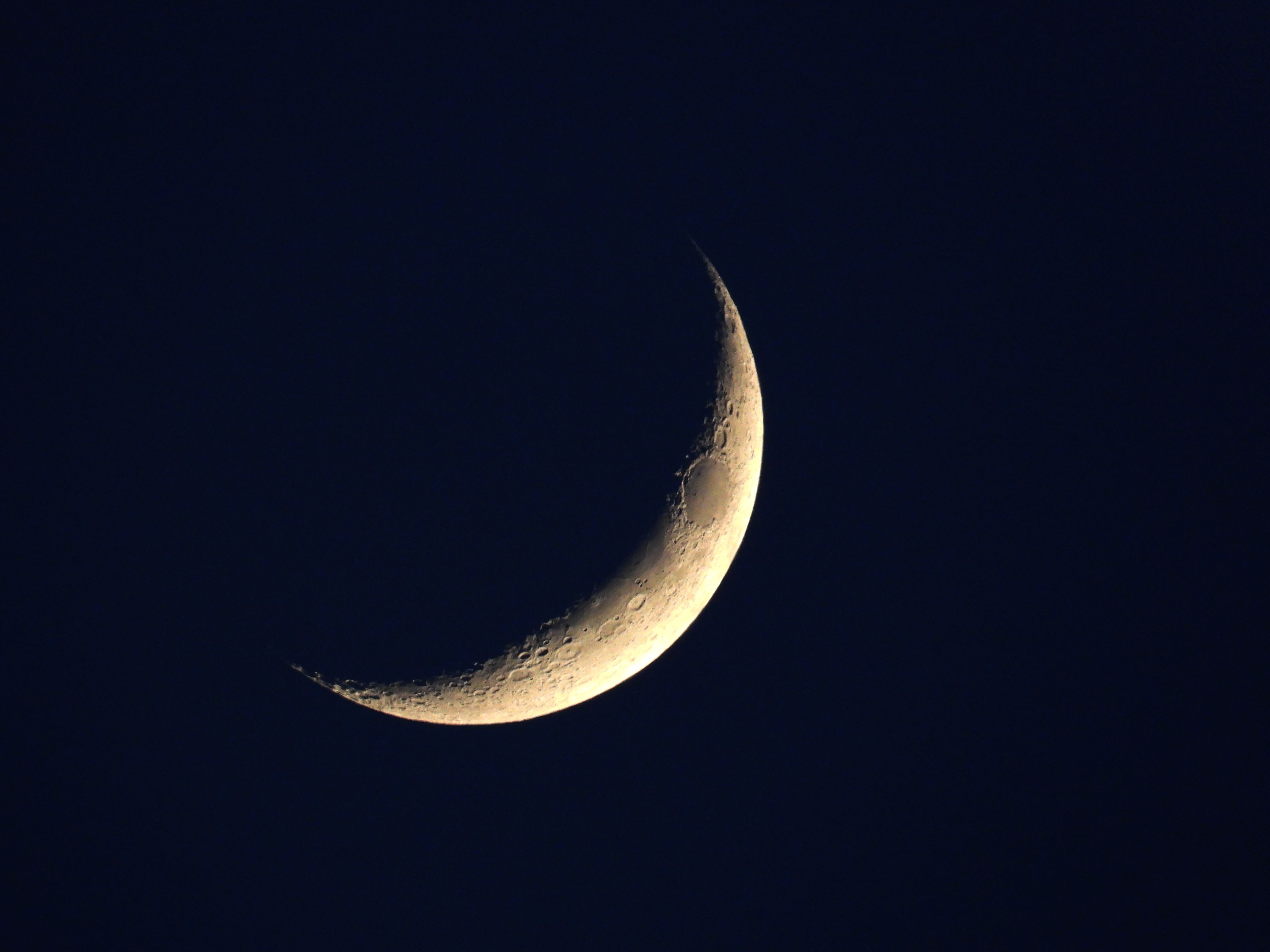 quartier de lune · Free Stock Photo