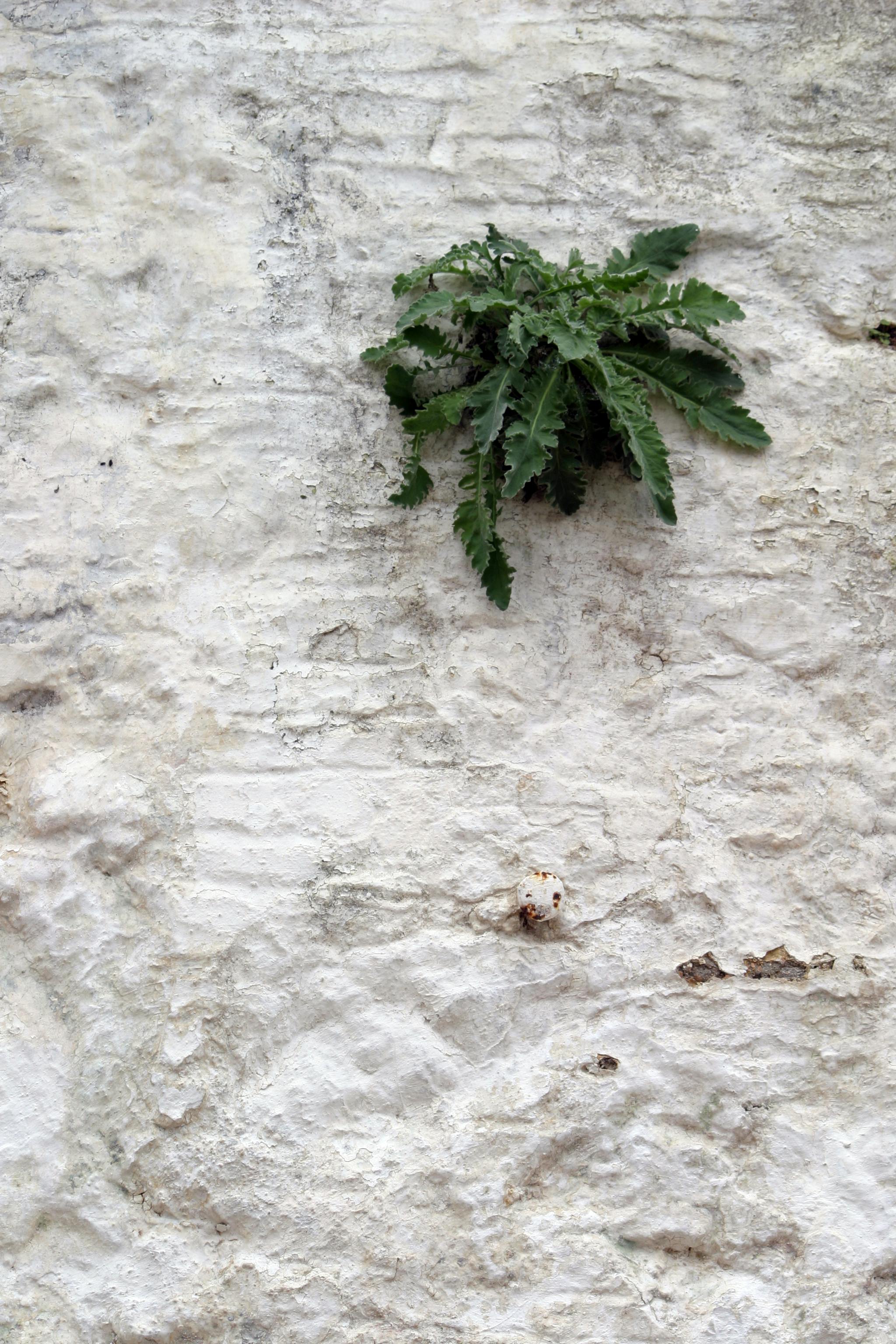 Spontán Cirkel Photos, Download The BEST Free Spontán Cirkel Stock ...