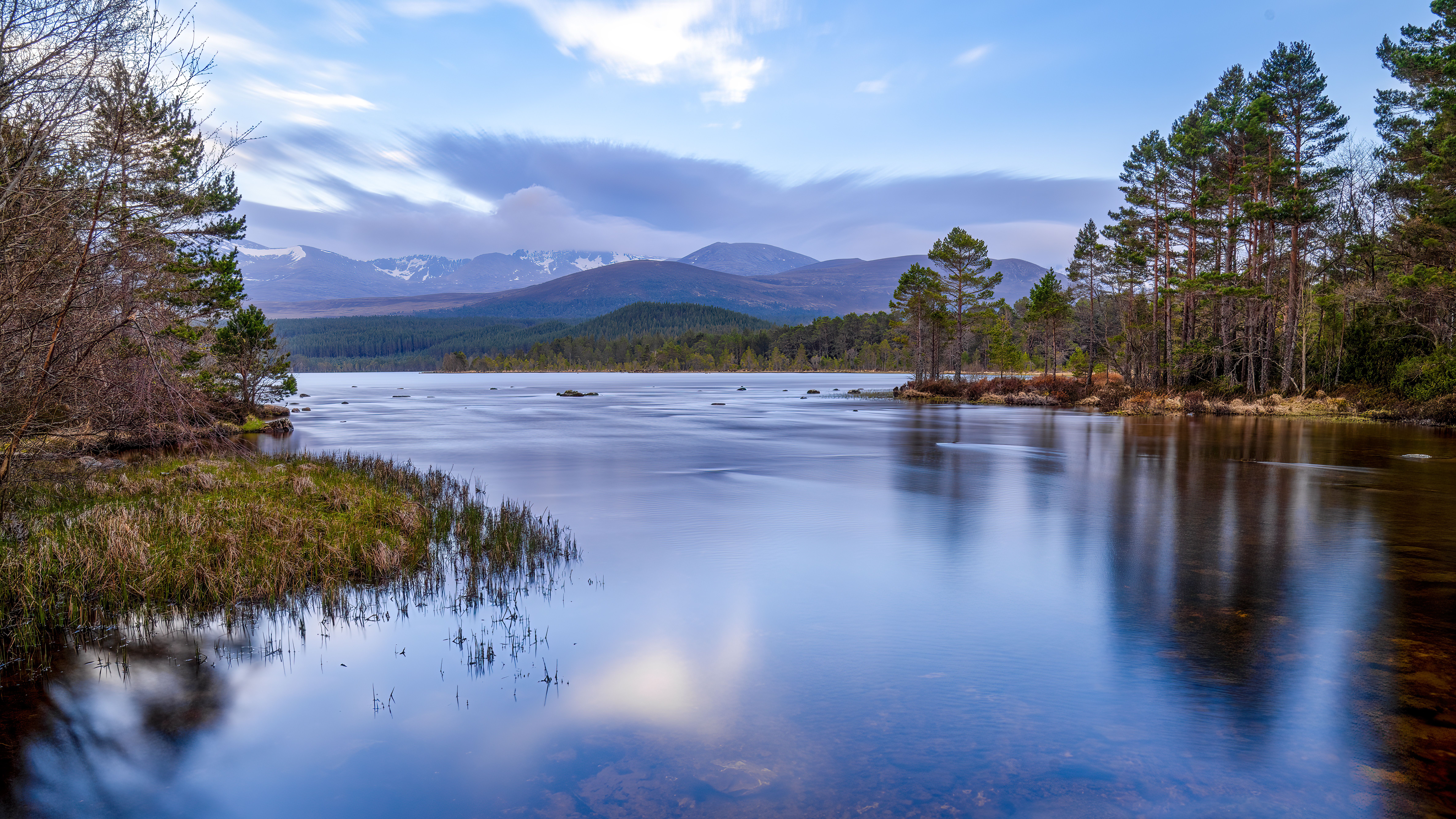 Calm Lake in Forest · Free Stock Photo