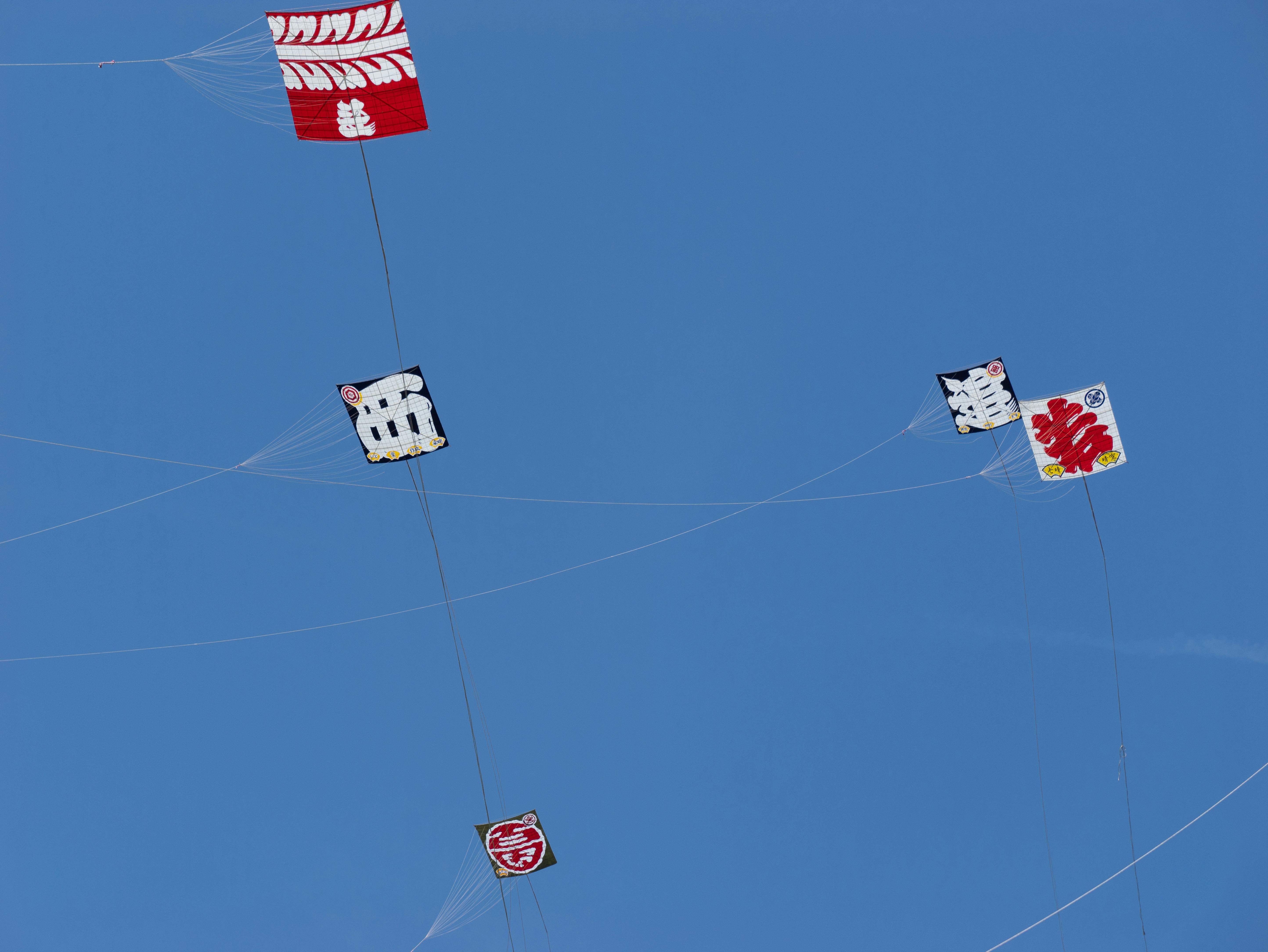 Tien Nguyen - Photography