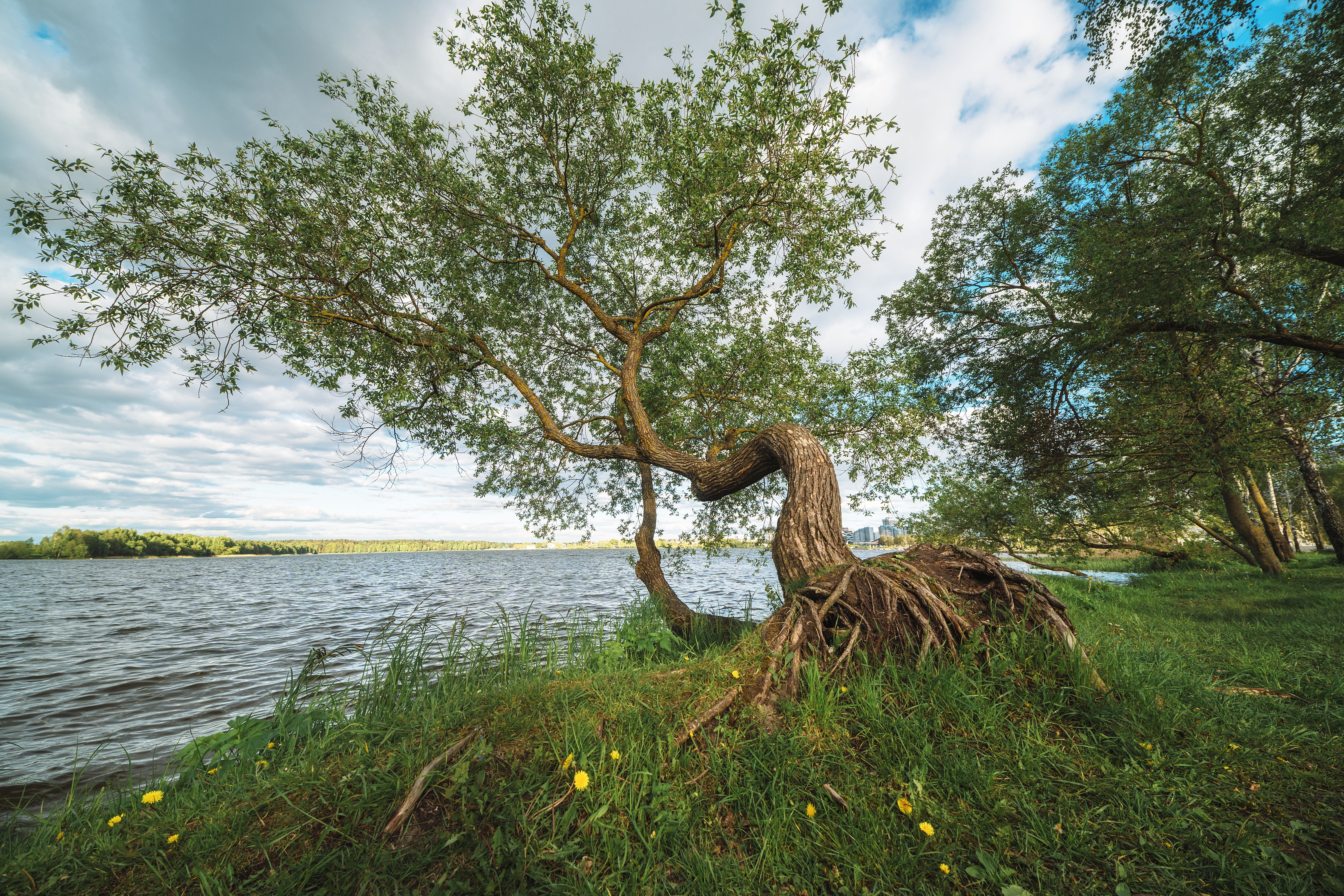 Siarhei Nester - Photography