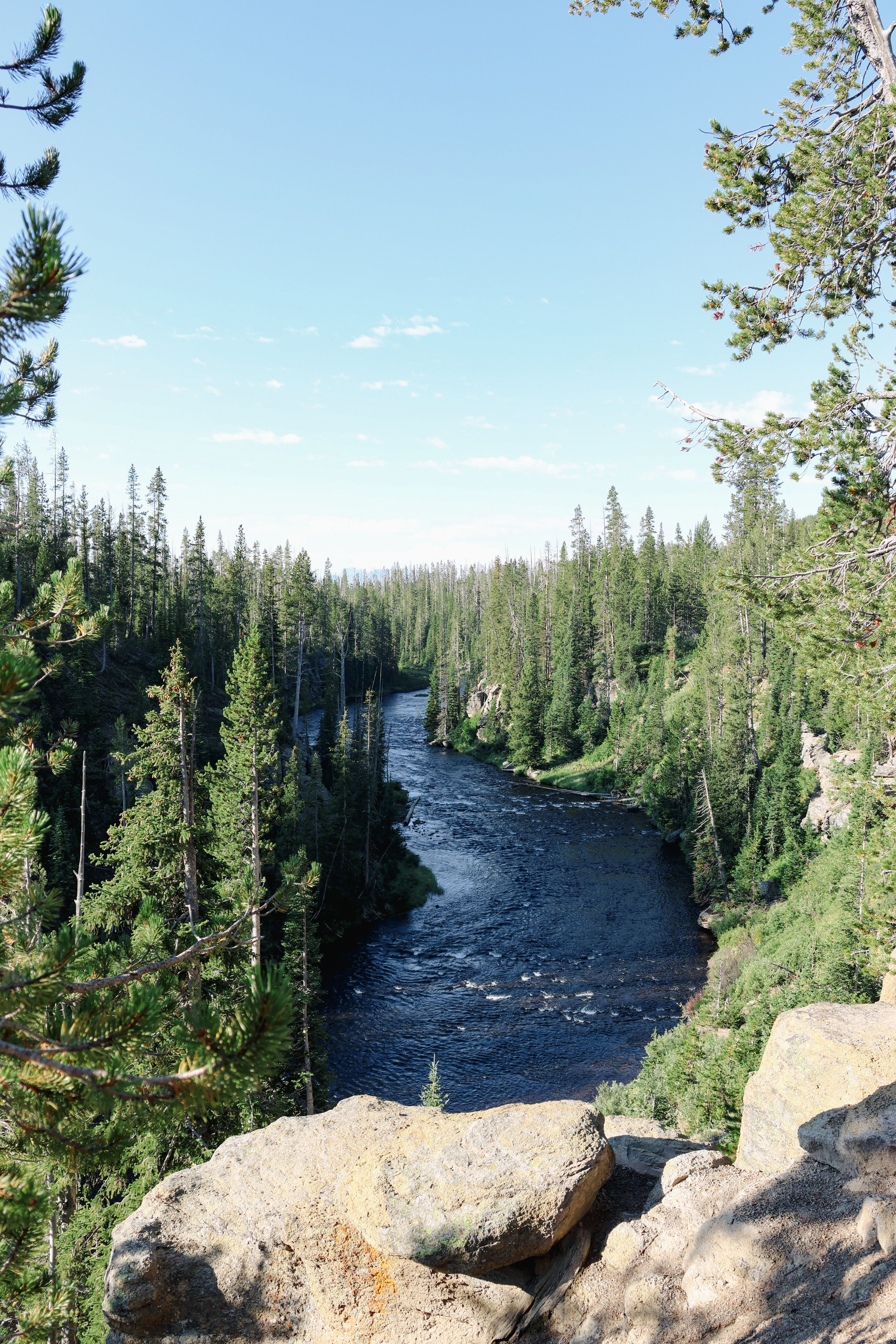 Scenic View of a River Flowing between Green Trees · Free Stock Photo