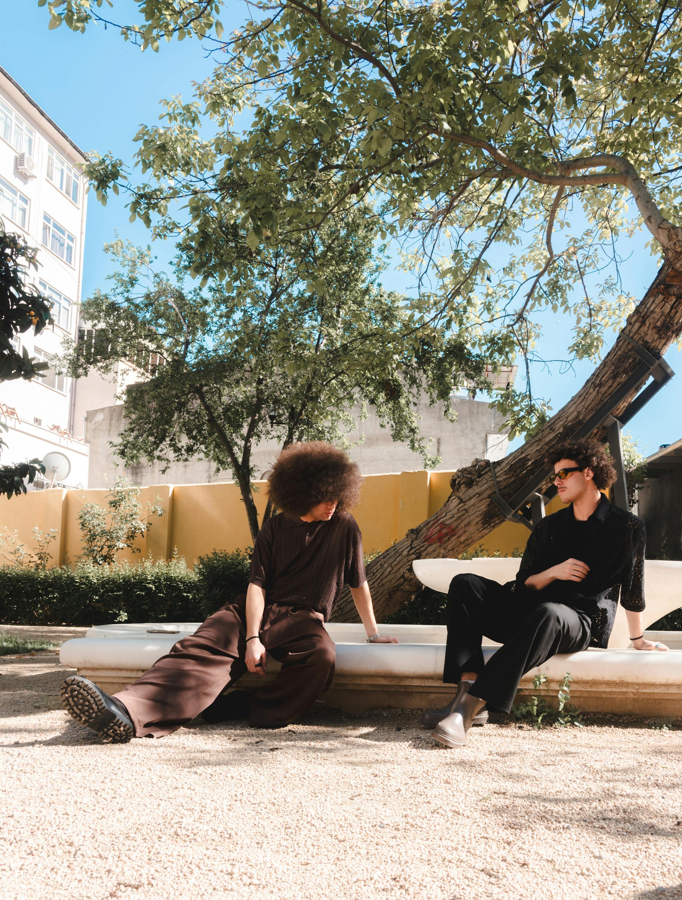 Shade Lasille Photos, Download The BEST Free Shade Lasille Stock Photos ...