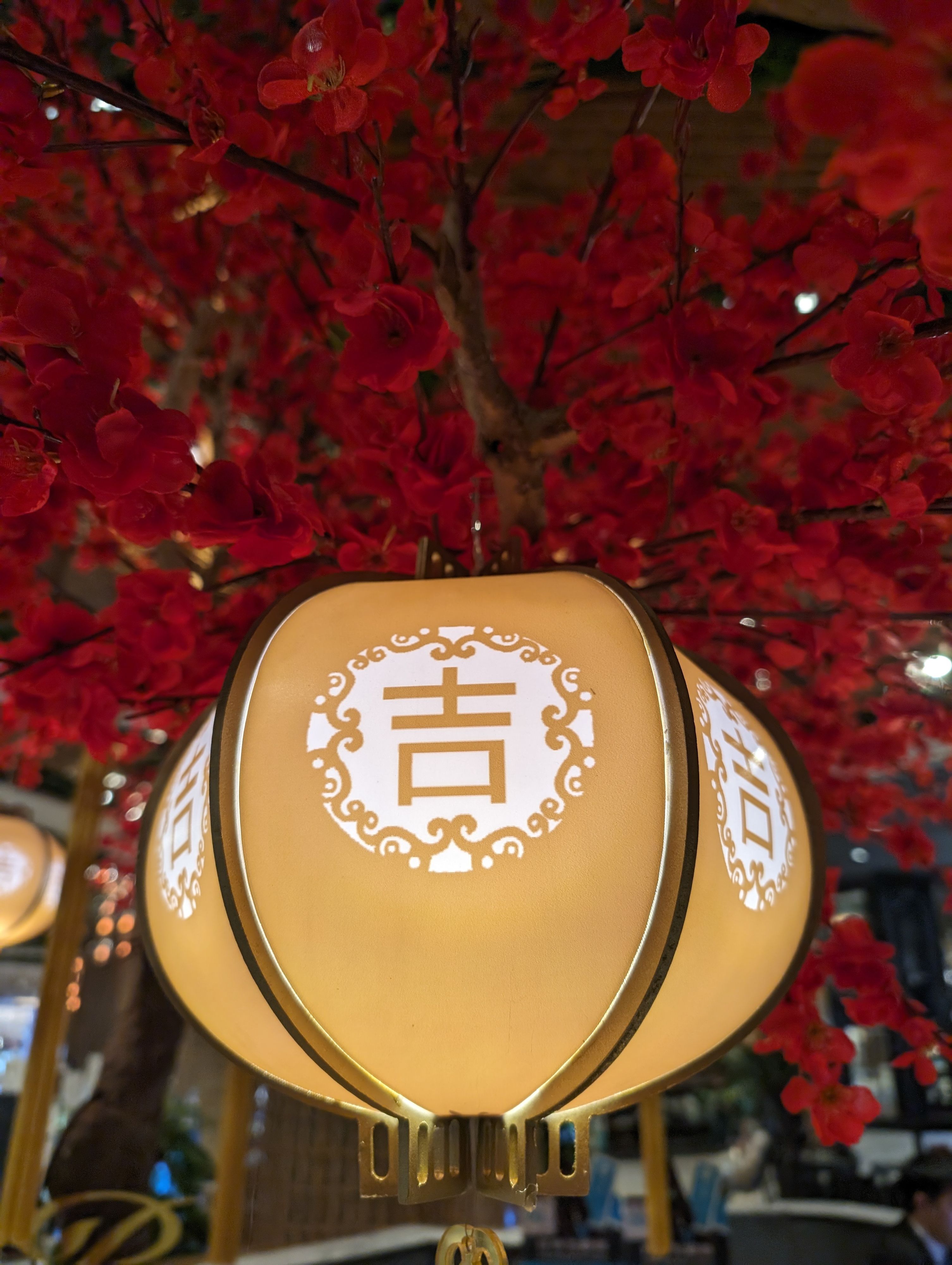 Yellow Lantern with Asian Script under Flowering Tree · Free Stock Photo