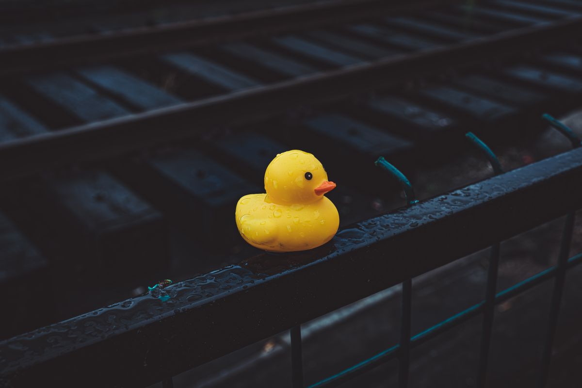 Yellow Duck Photos, Download The BEST Free Yellow Duck Stock Photos ...