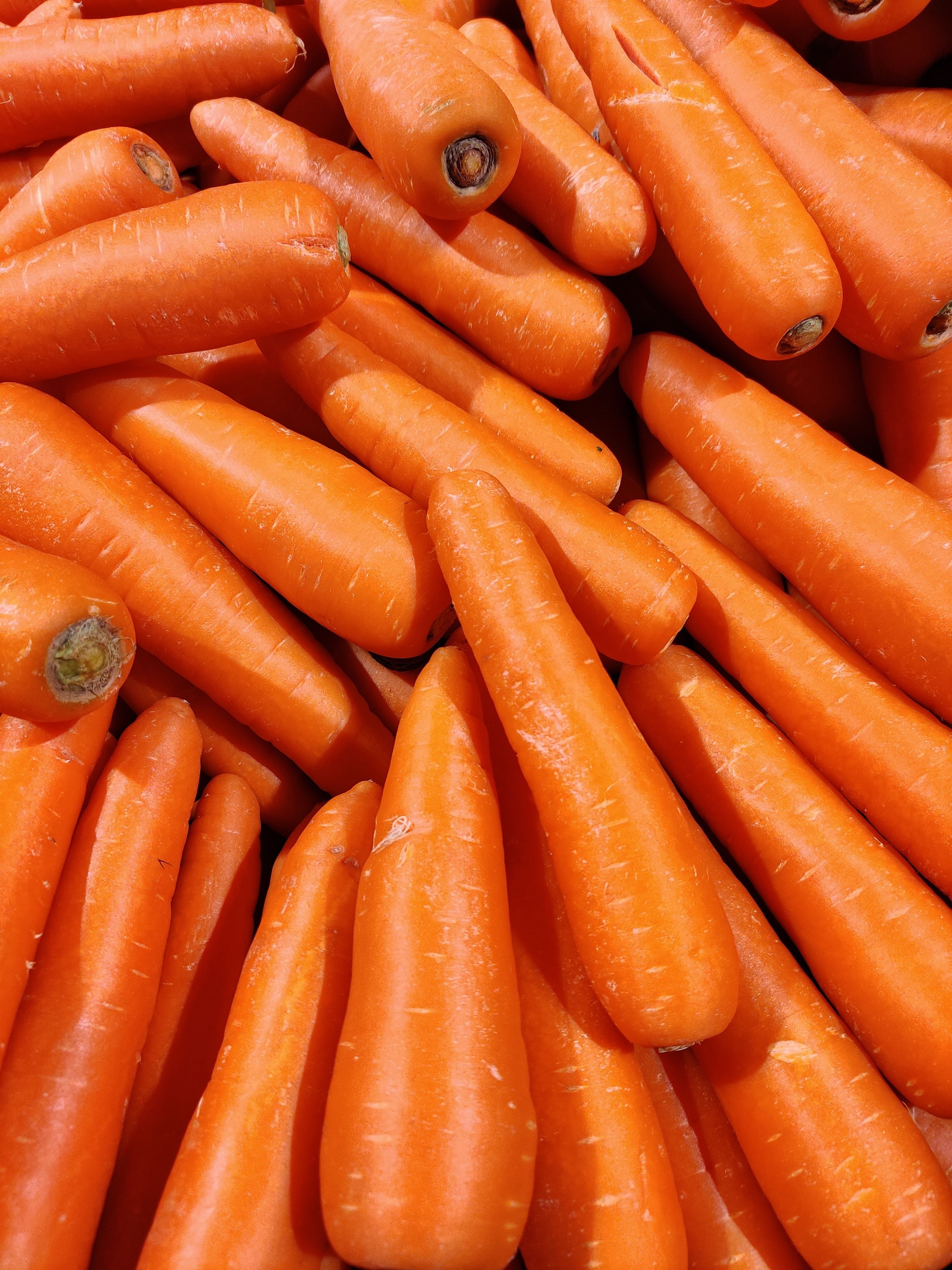 A pile of carrots with the word carrots · Free Stock Photo