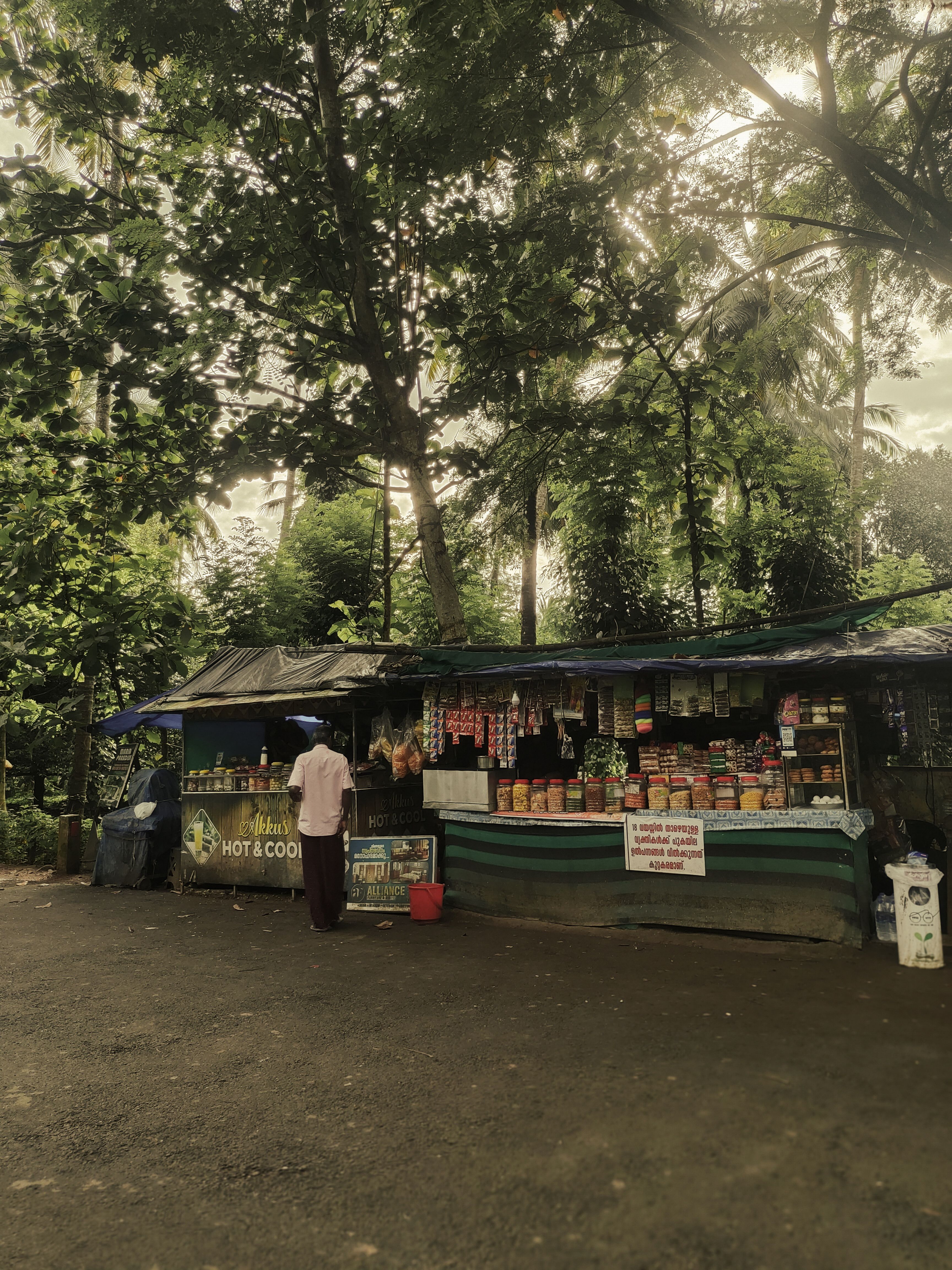 Market Stall in a Park · Free Stock Photo