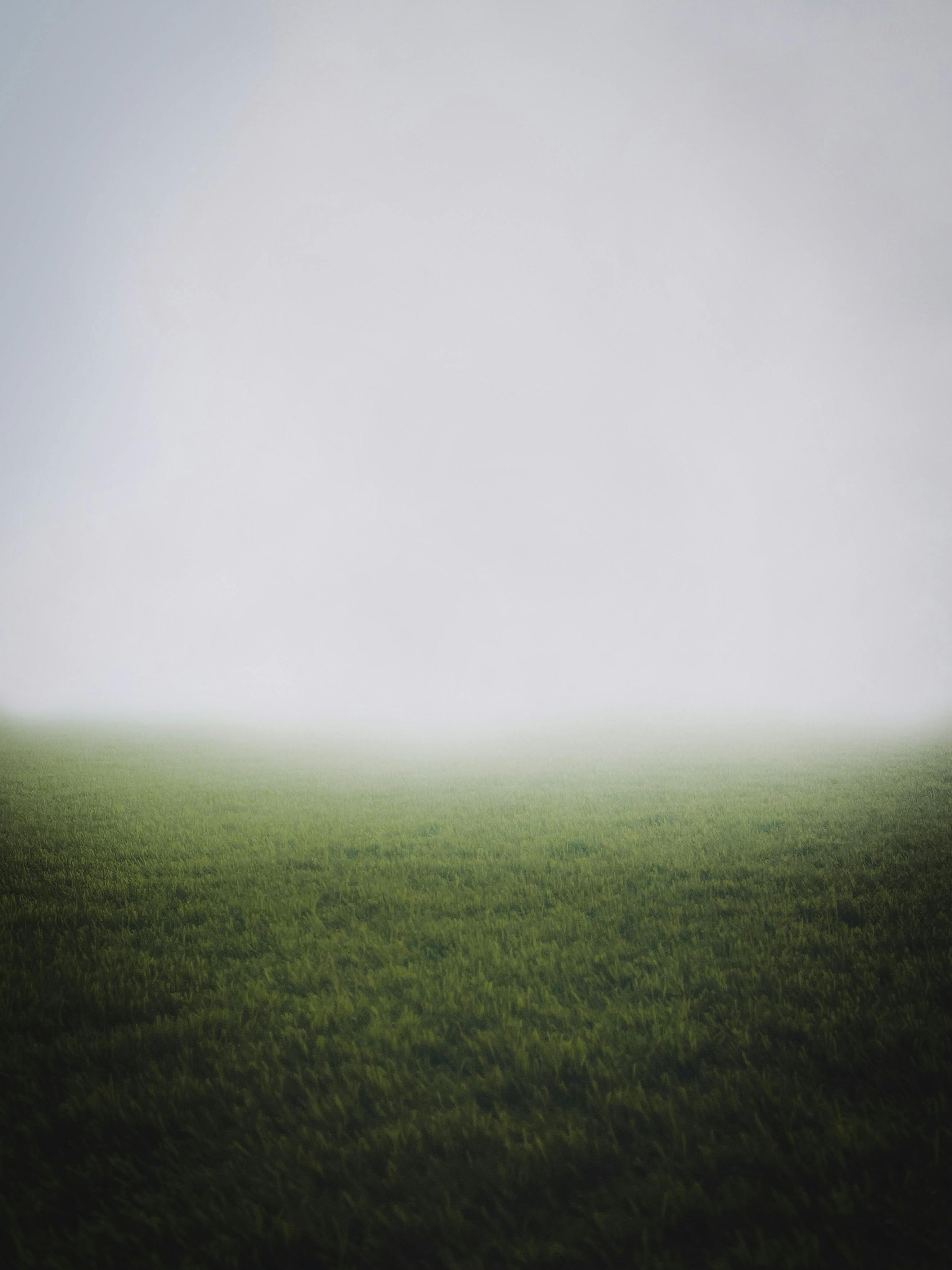 Beautiful Green Land Photos, Download The BEST Free Beautiful Green ...