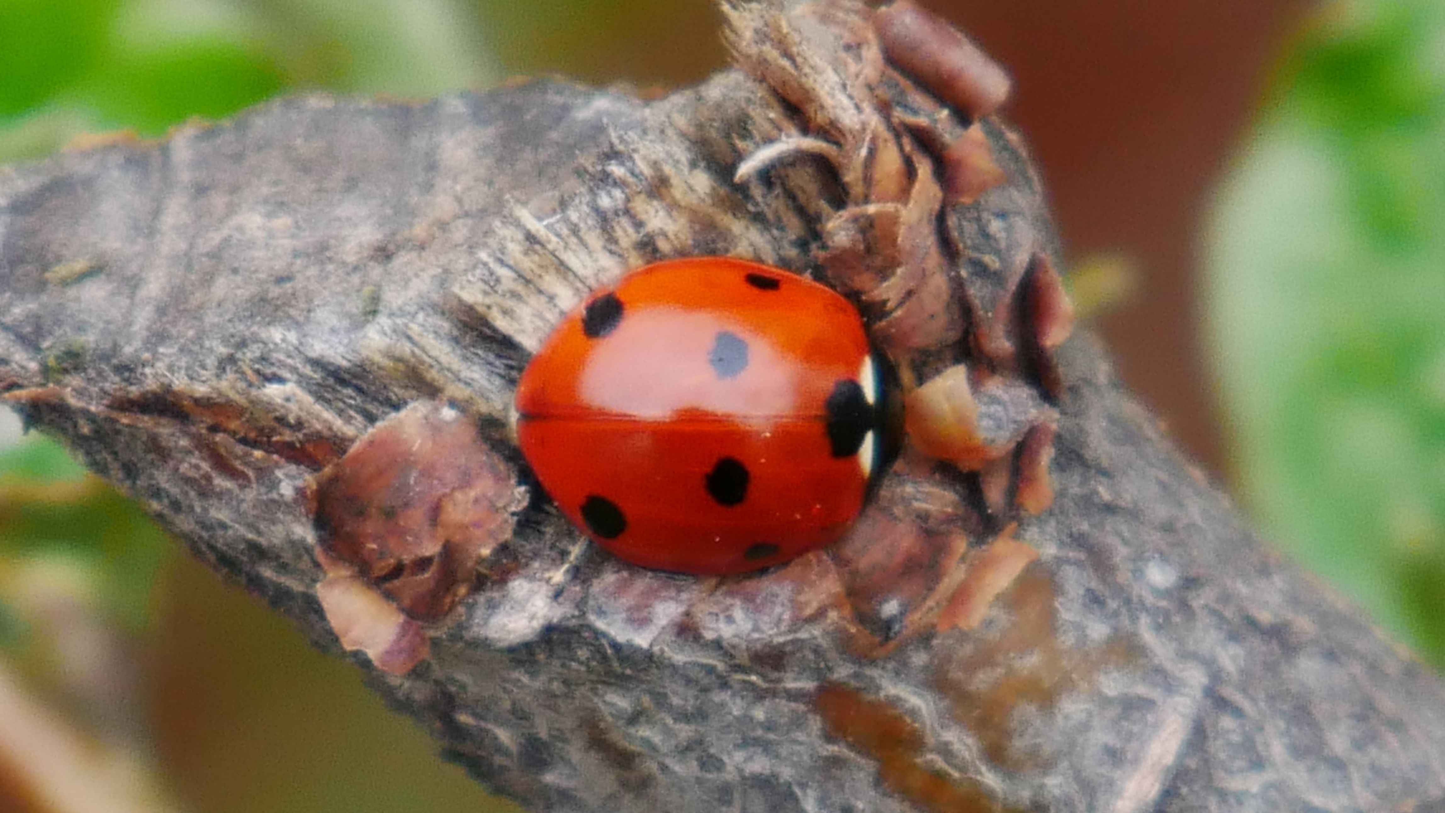 Les Miller - Photography