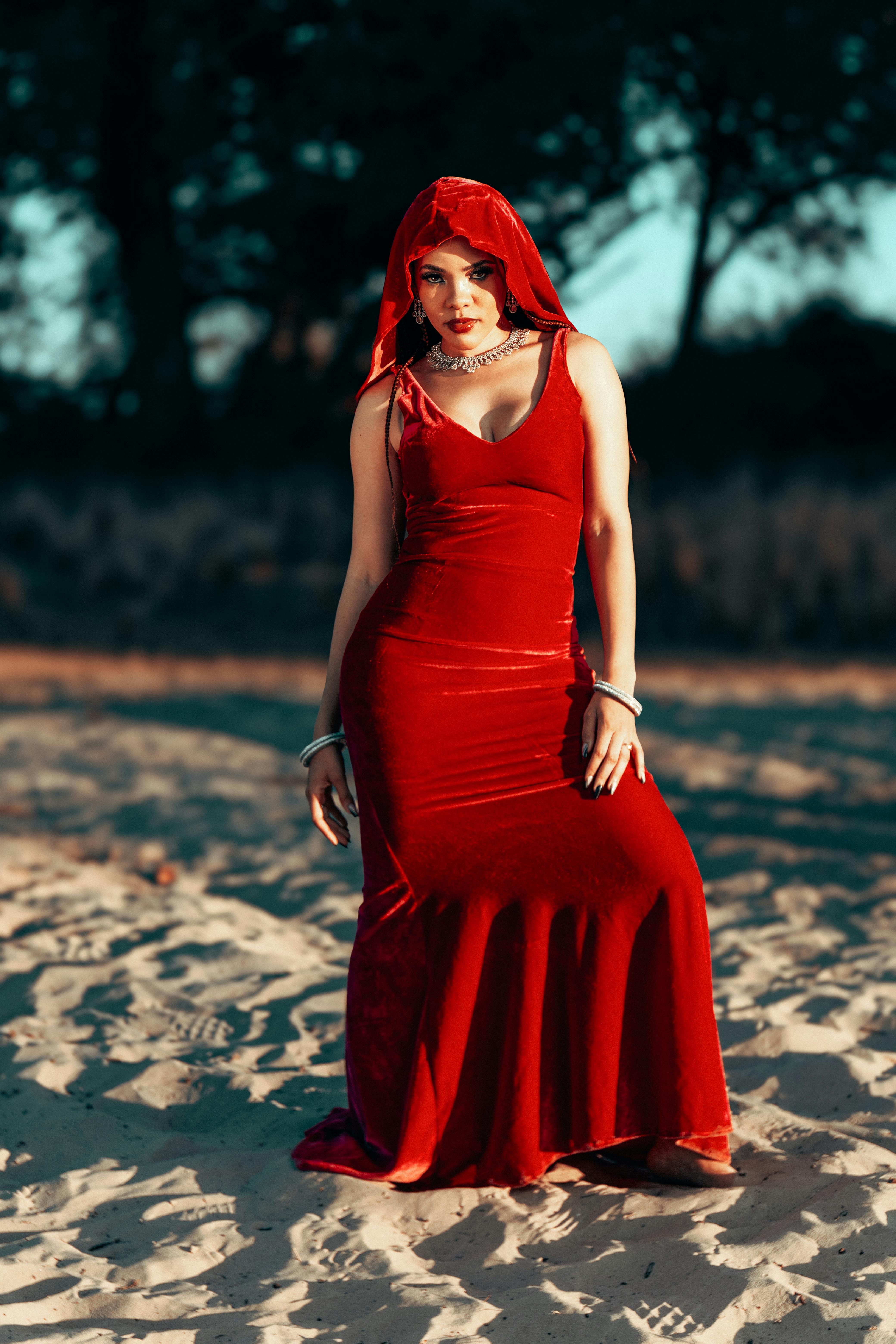 Velvet Sunset And Trees Photos, Download The BEST Free Velvet Sunset ...