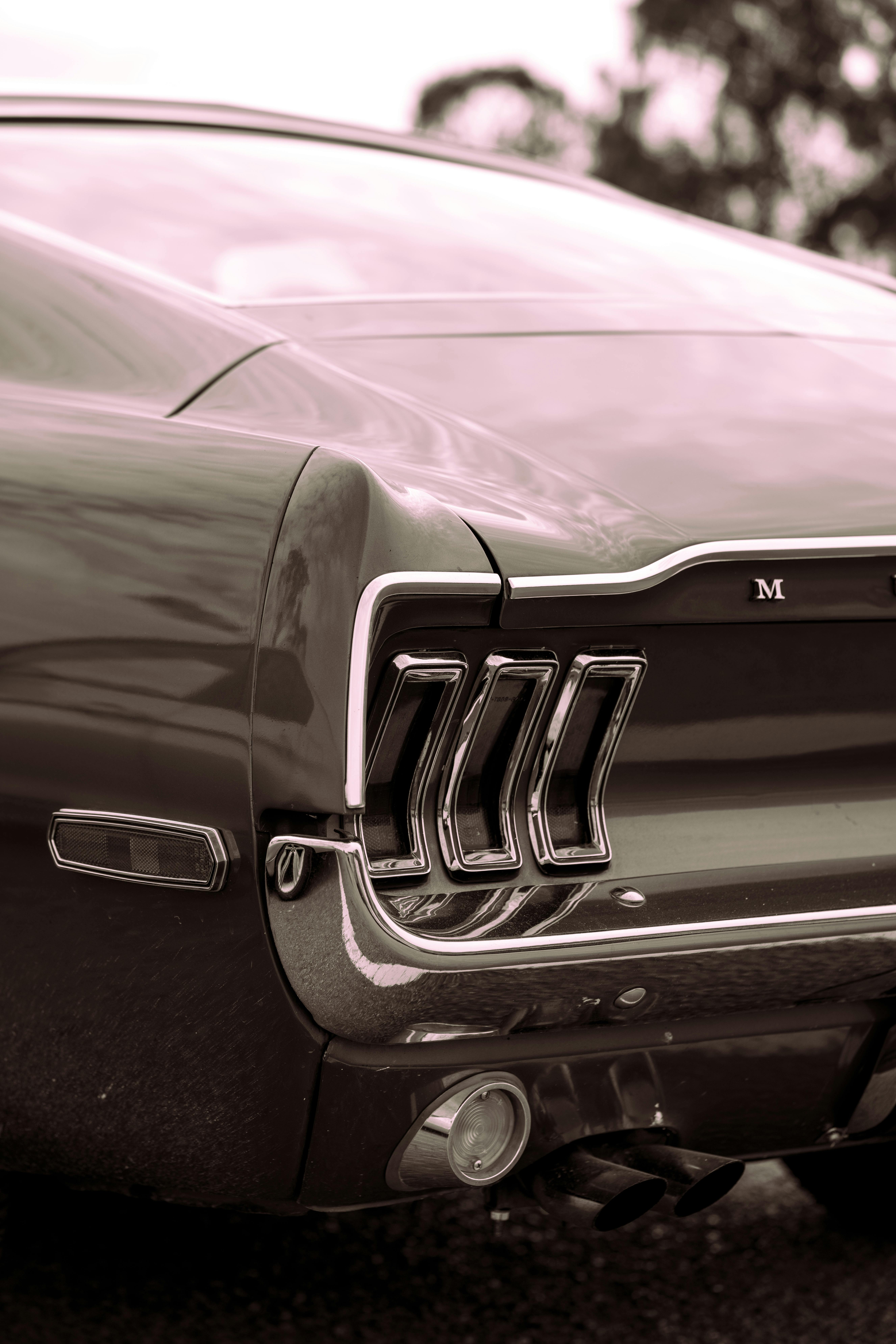 Back View of a Black Ford Mustang · Free Stock Photo