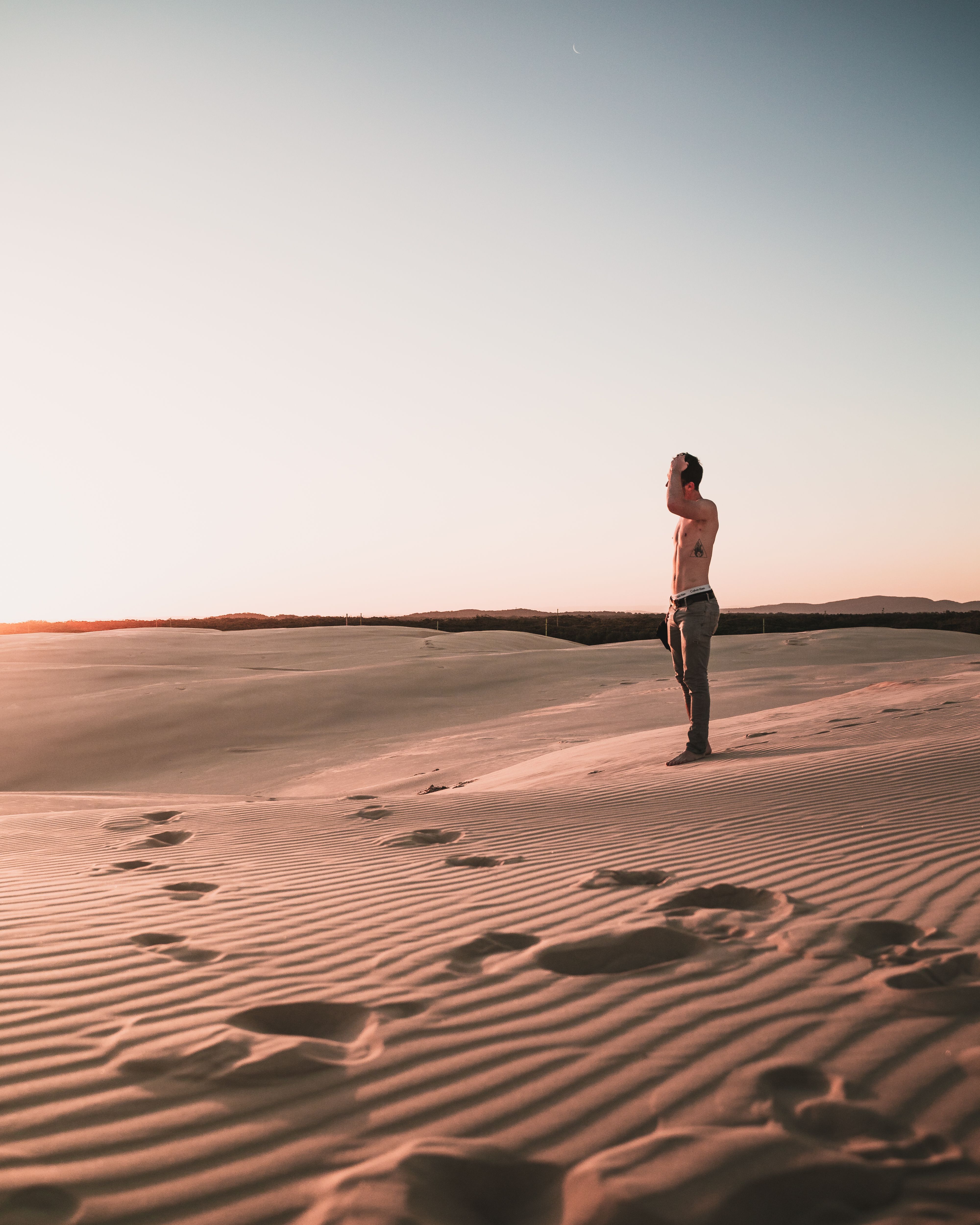 Green Grasses on Sahara Desert · Free Stock Photo