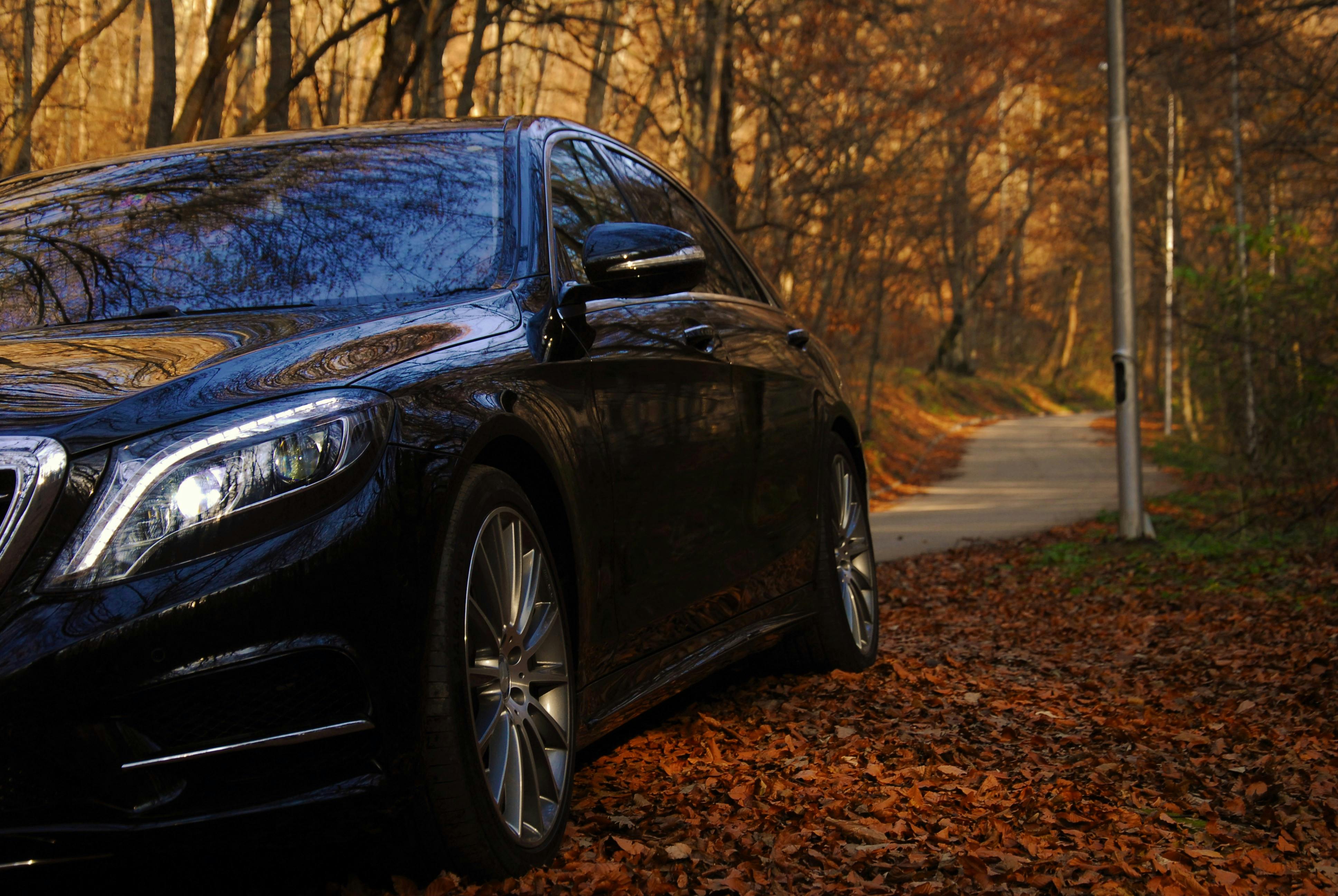 Free stock photo of auto, autumn, benz