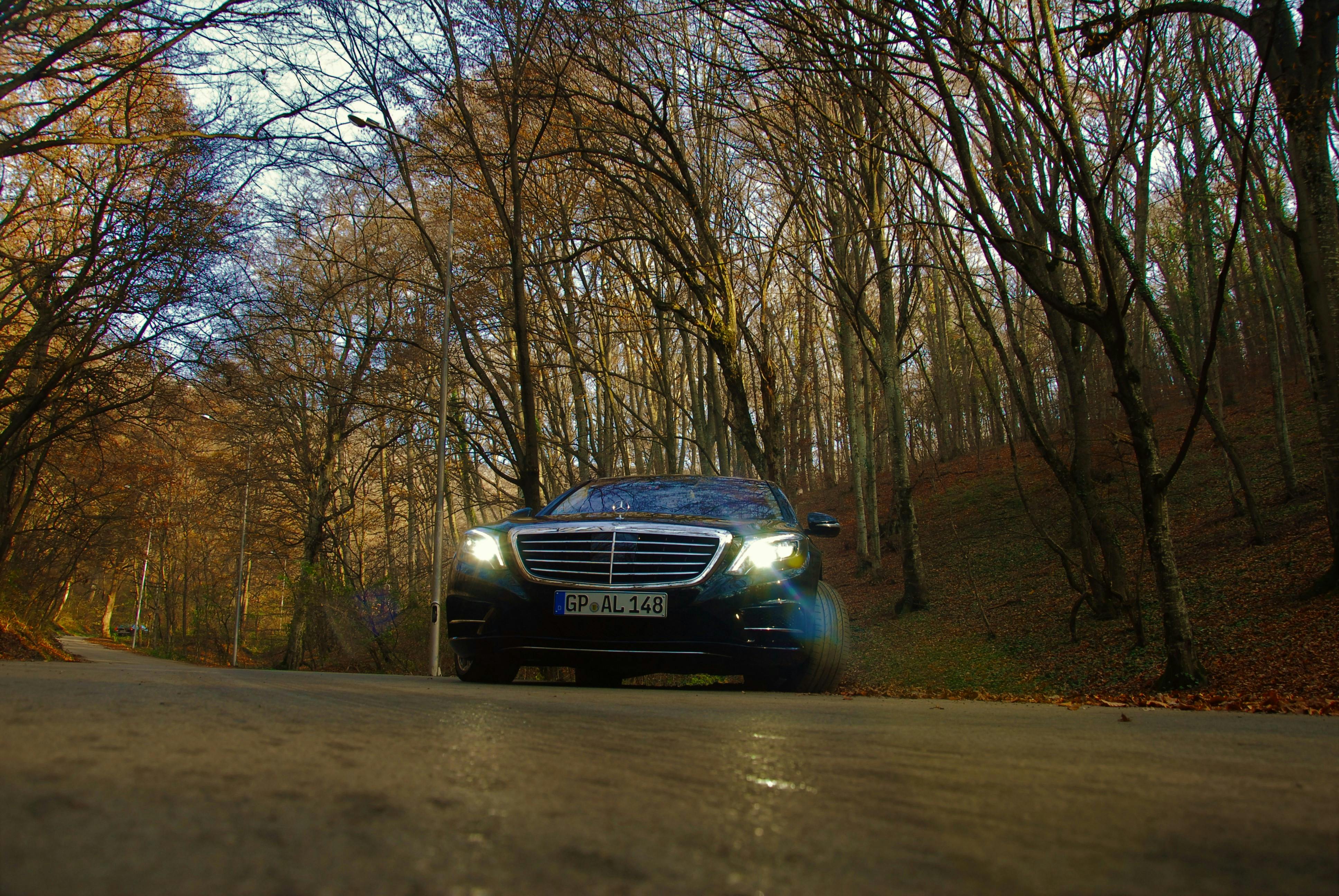 Free stock photo of auto, autumn, benz