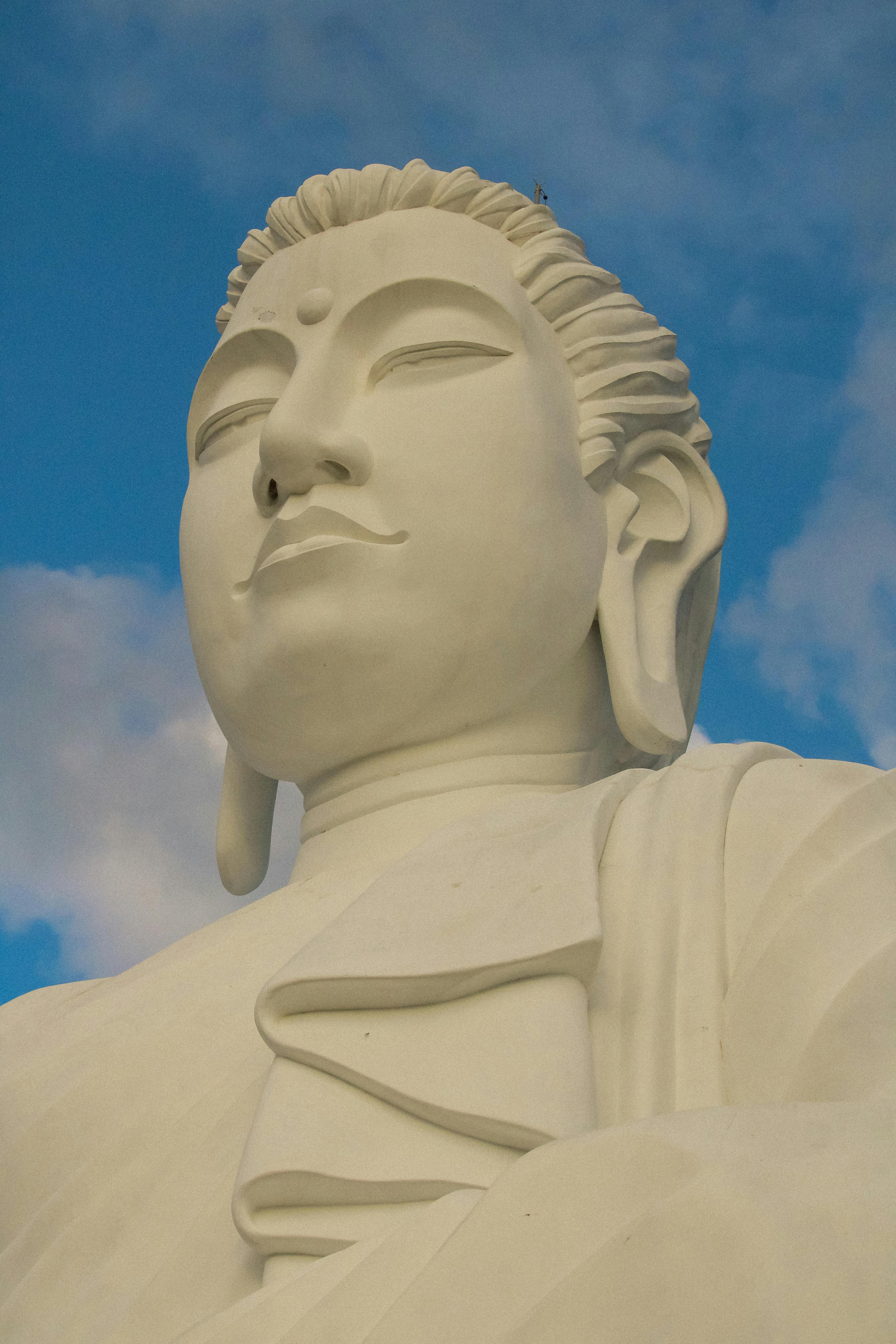 Buda Gigante III · Free Stock Photo