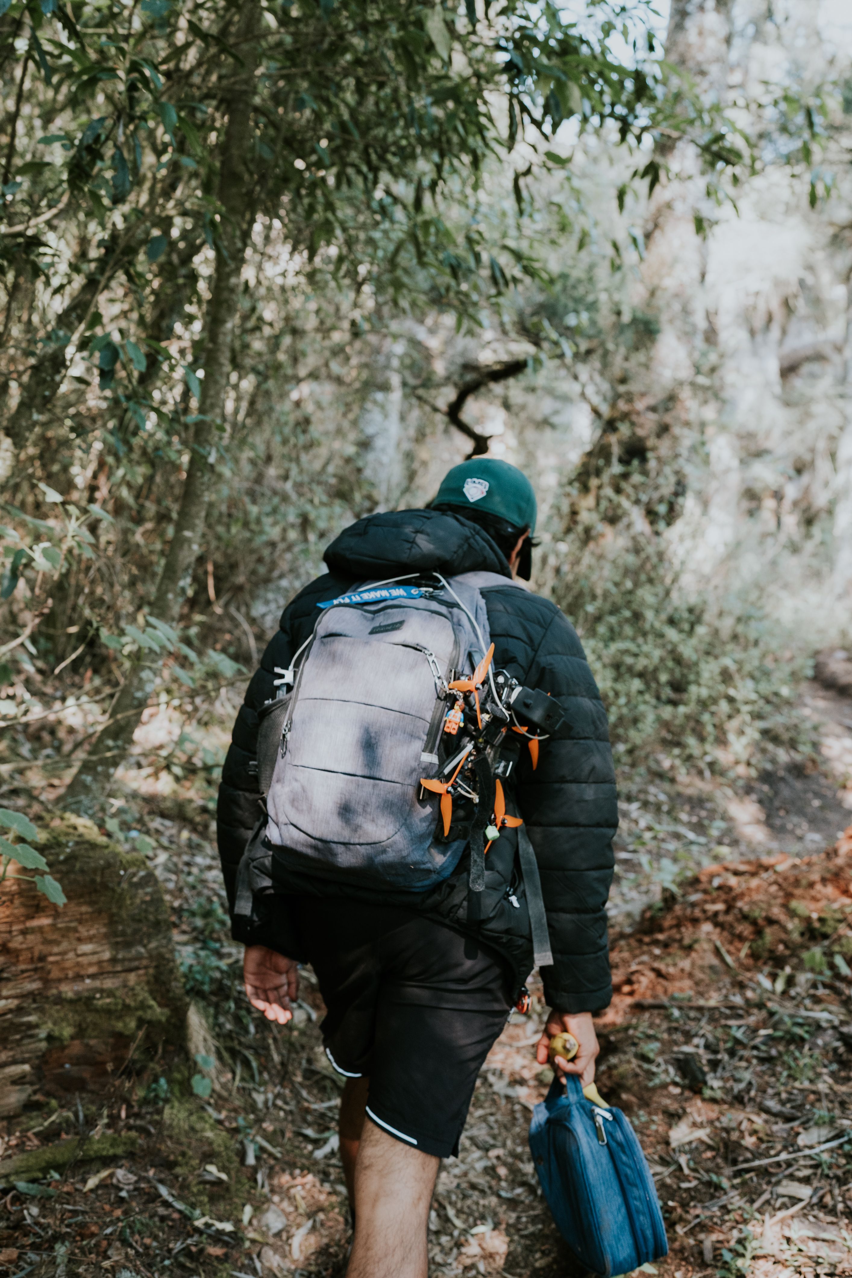 Back View of a Man Hiking in the Forest · Free Stock Photo