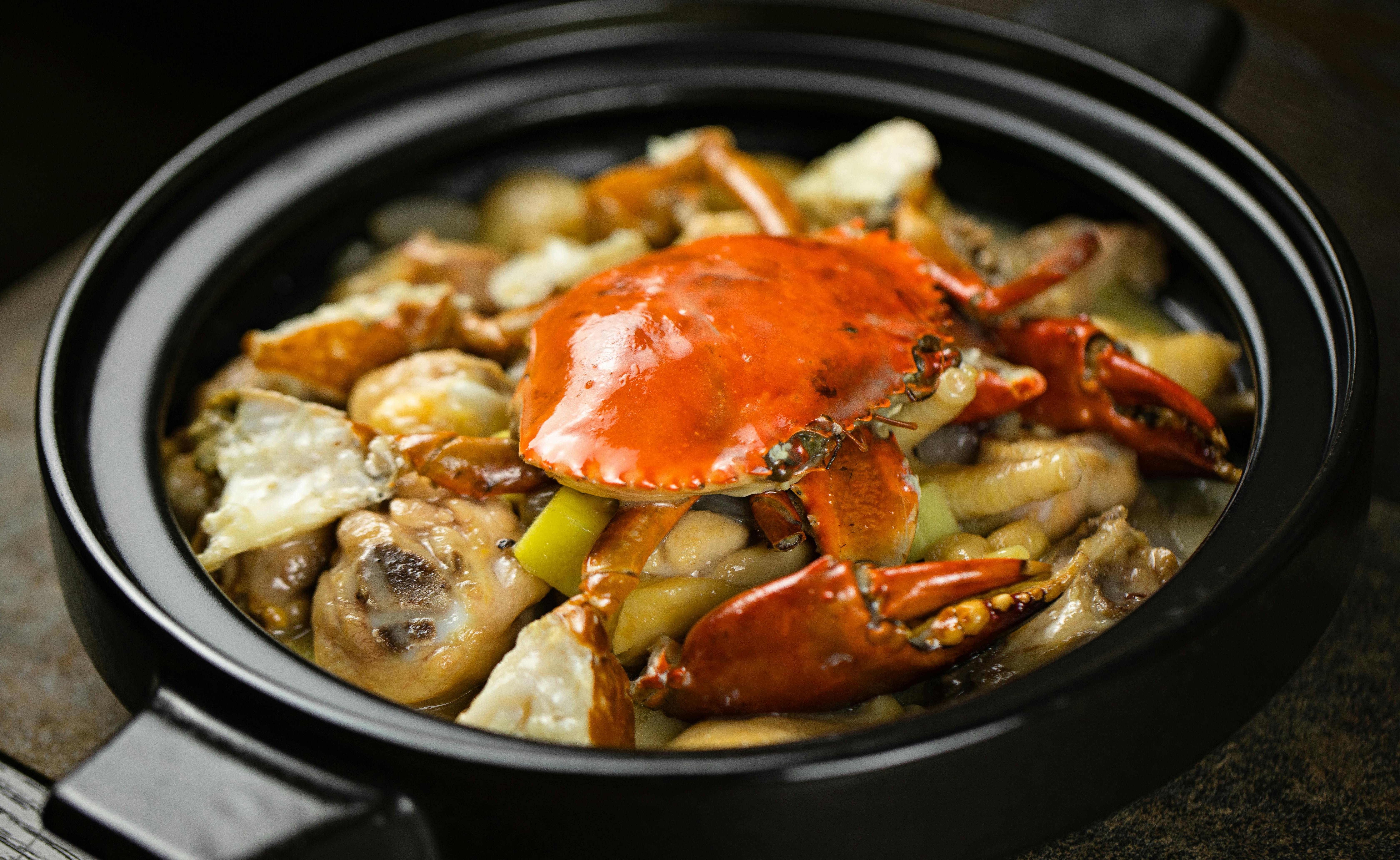 Stew with Crab in Pan · Free Stock Photo