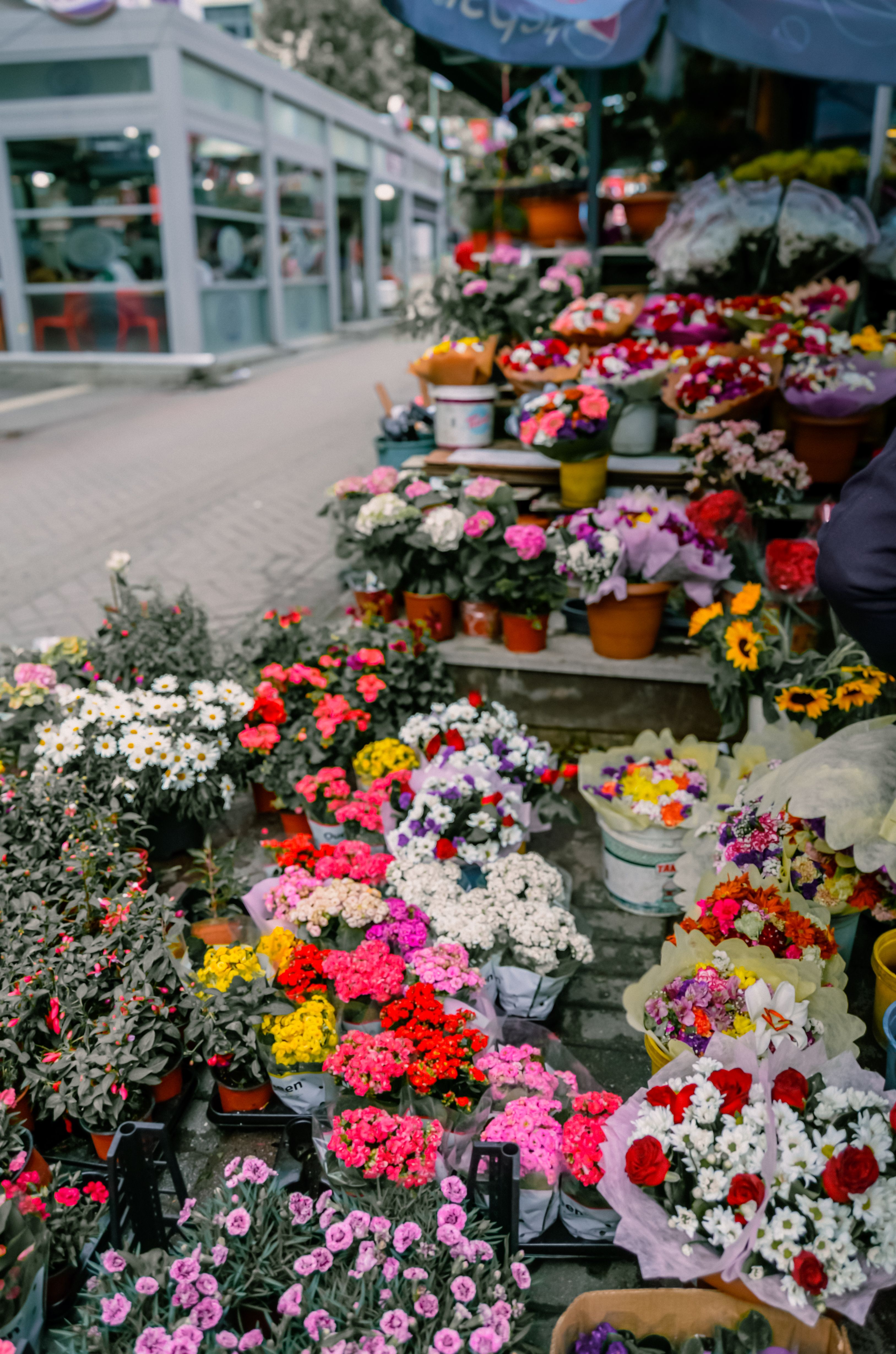 A flower stand on a street with many different flowers · Free Stock Photo