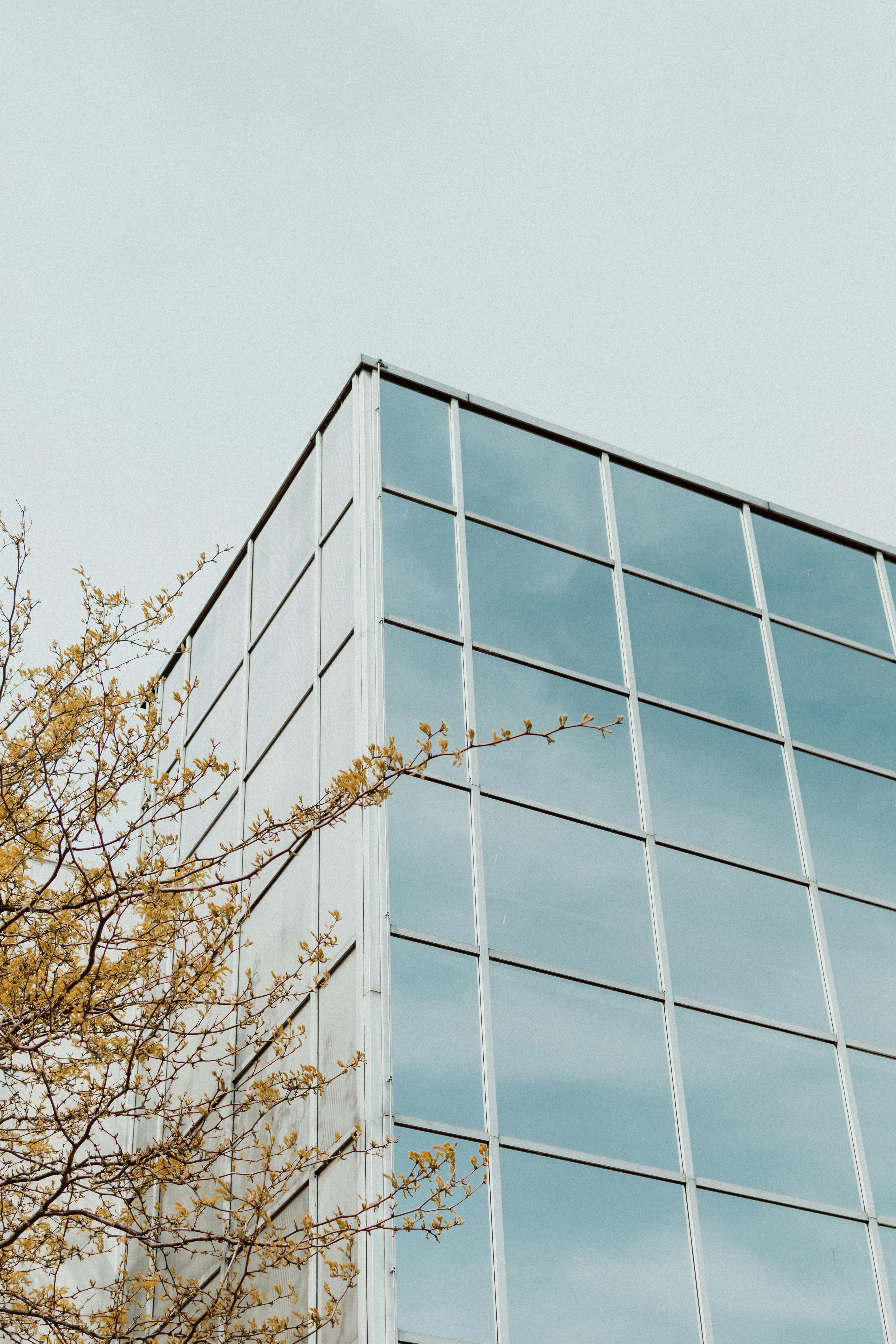 Blue Building Window Scenery · Free Stock Photo