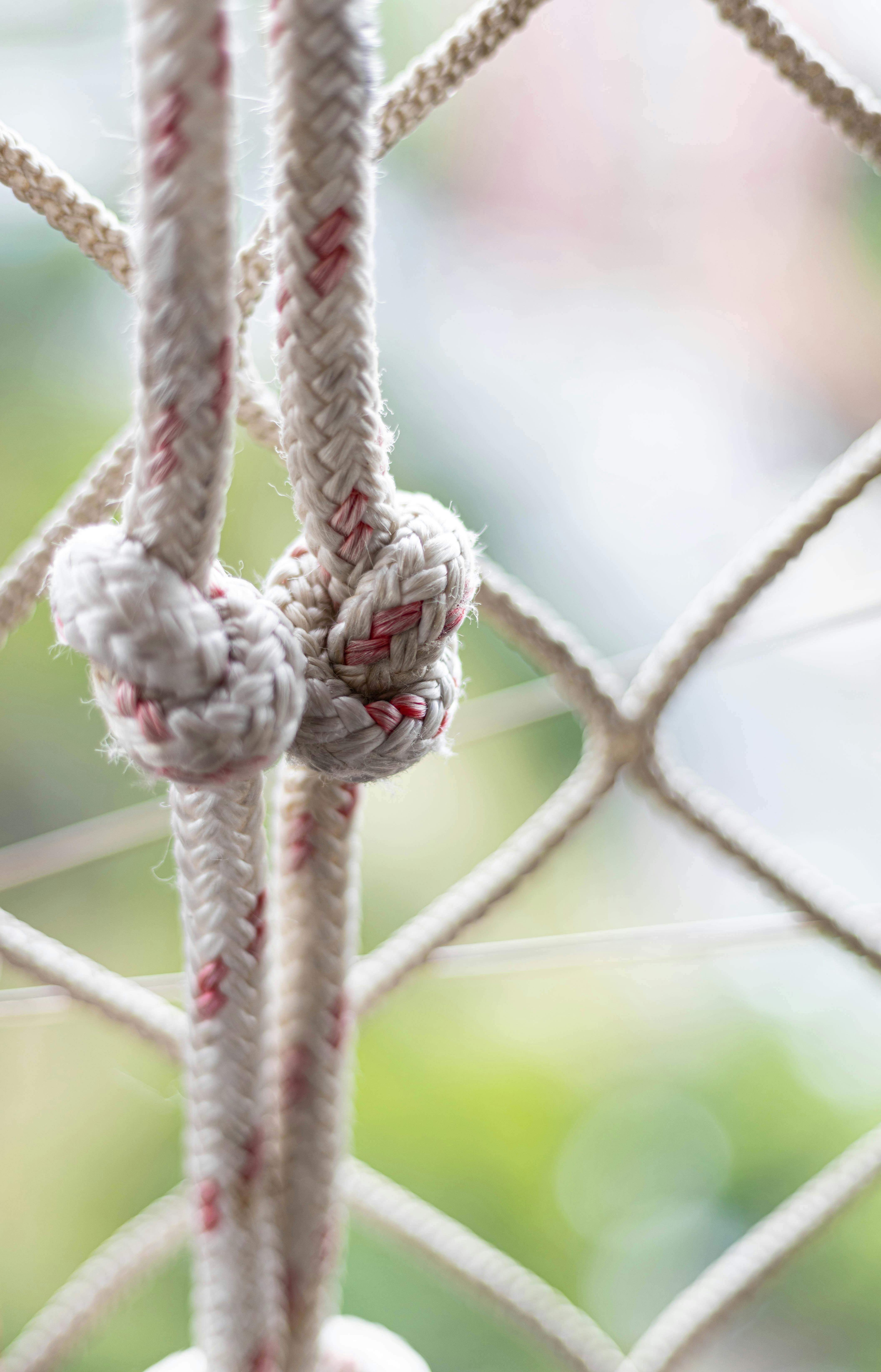 Knots in Ropes · Free Stock Photo