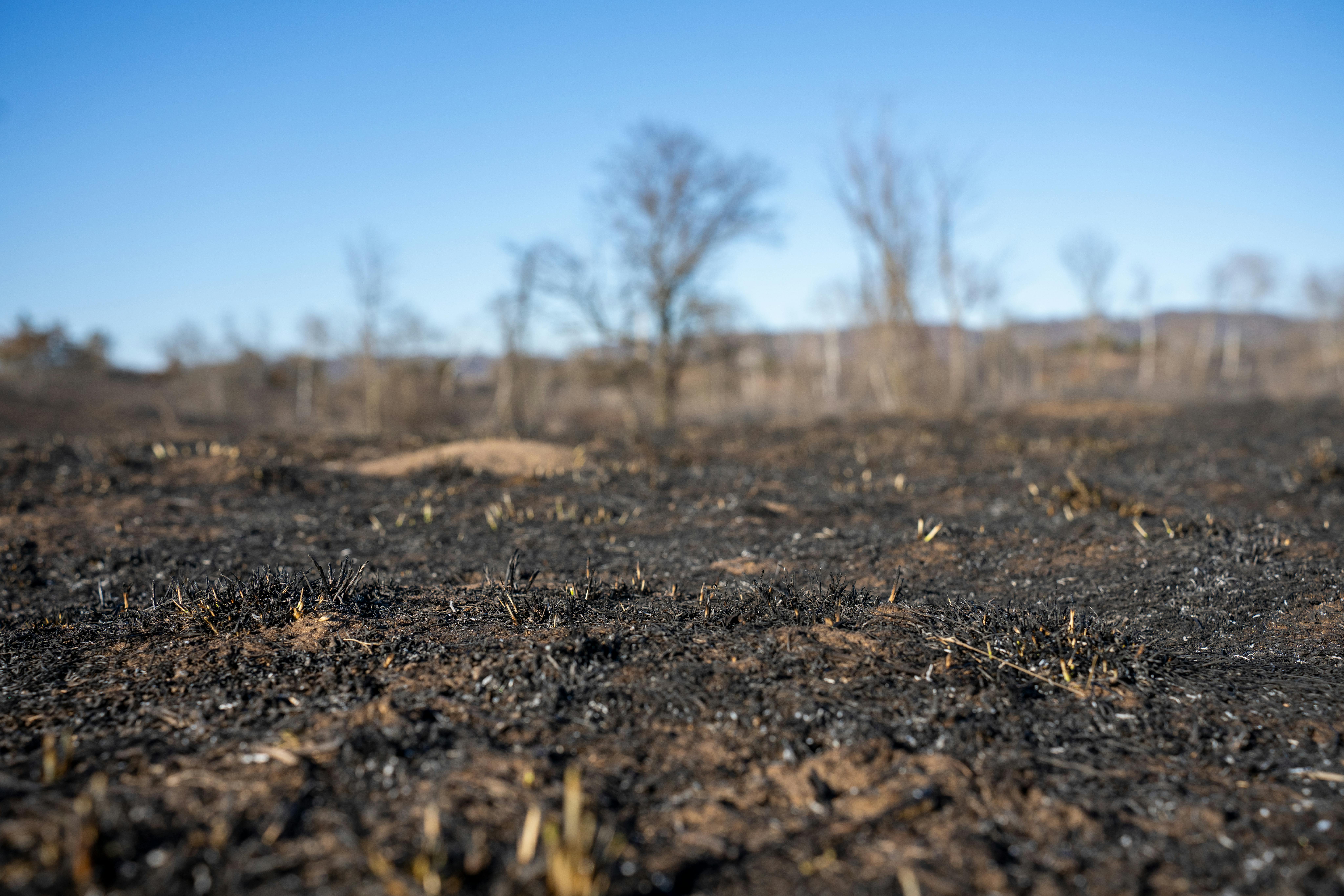 Black Ground on Wasteland · Free Stock Photo