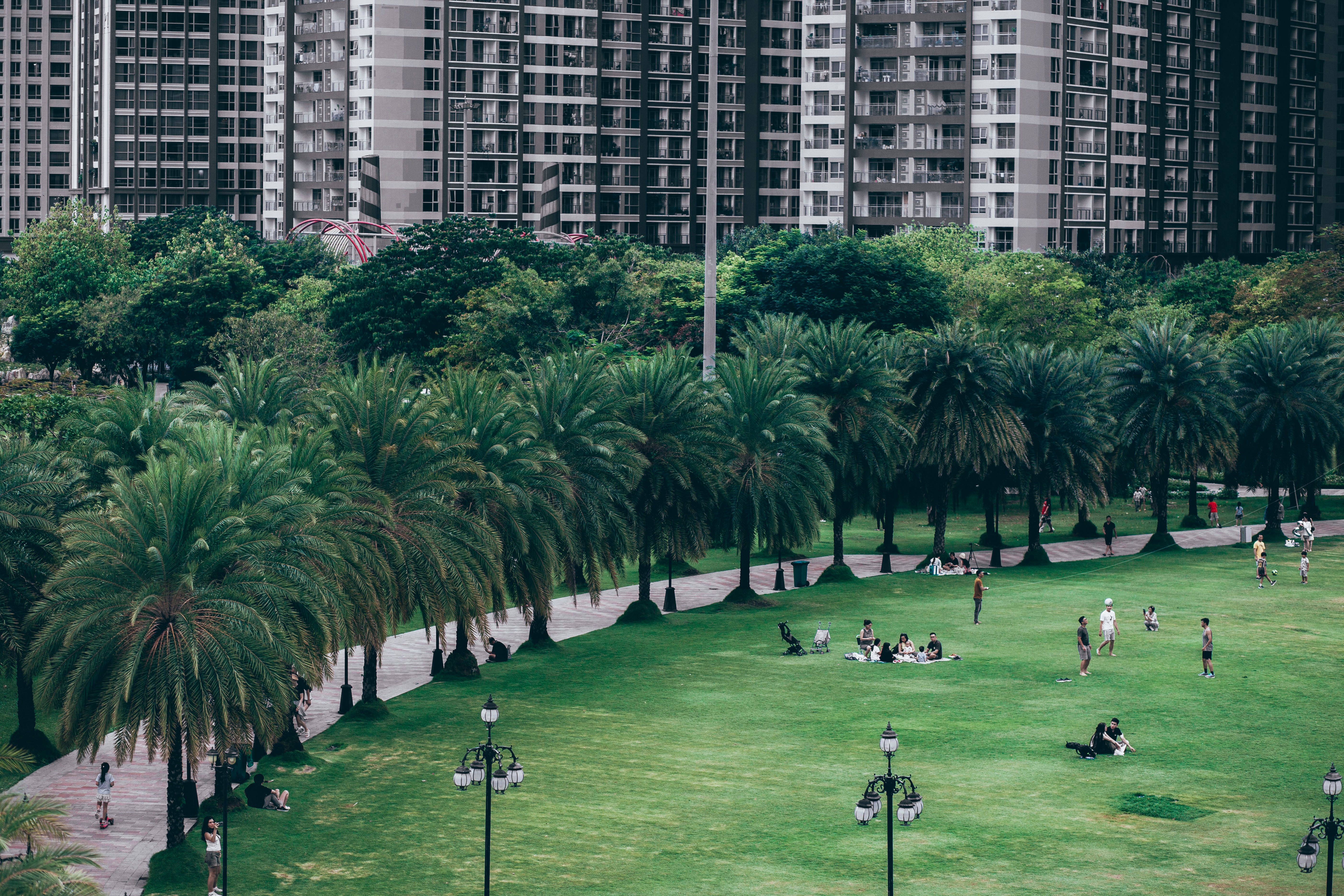 Citizens in Urban Park · Free Stock Photo