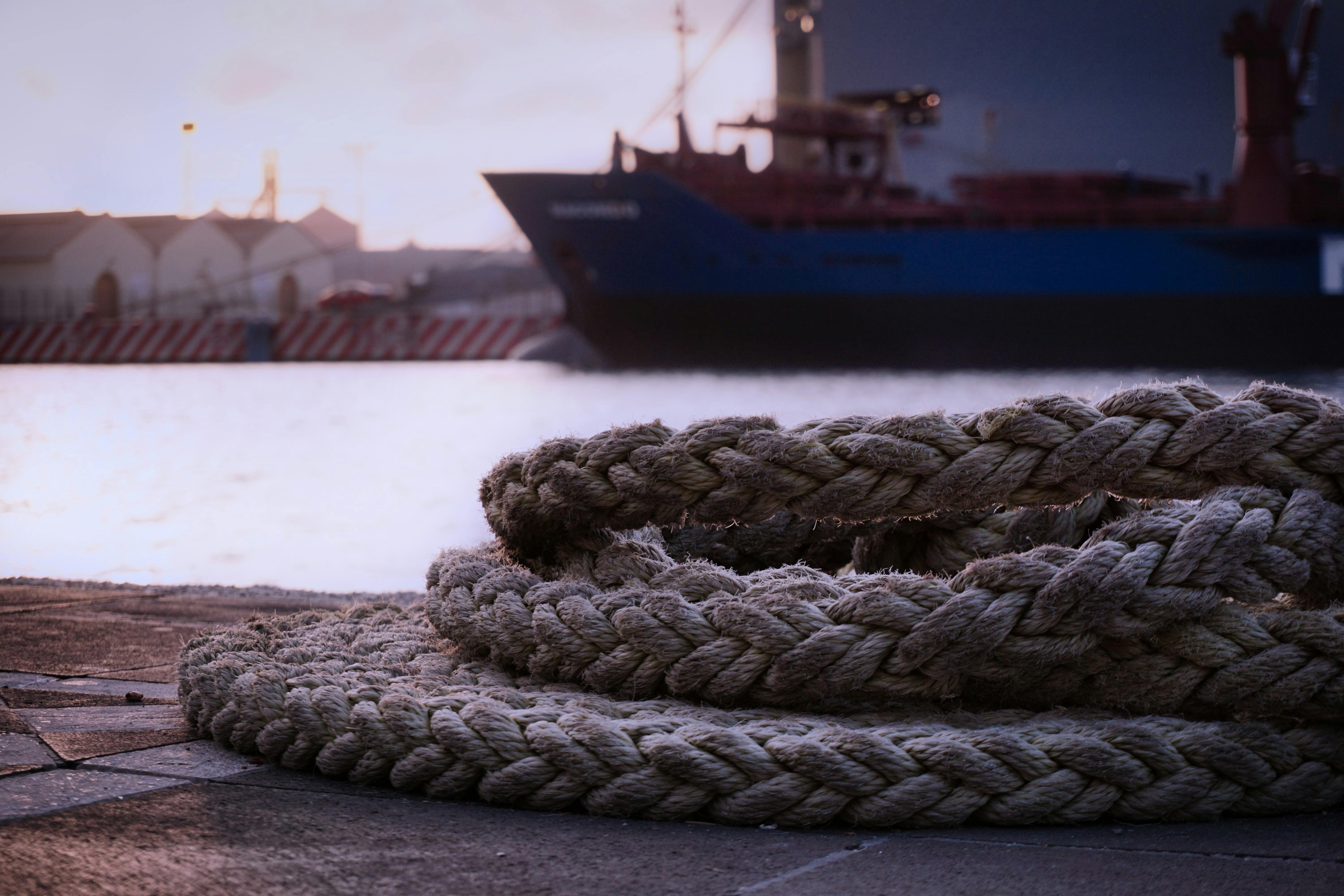 noel nesme - Fotografía